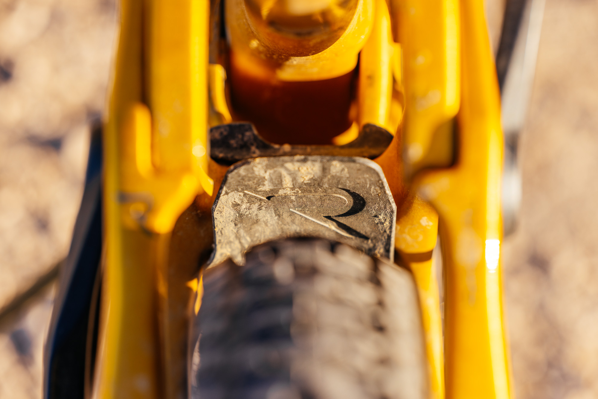 More Than It Seems: A 2024 Revel Rascal Review – Travis Engel & John ...