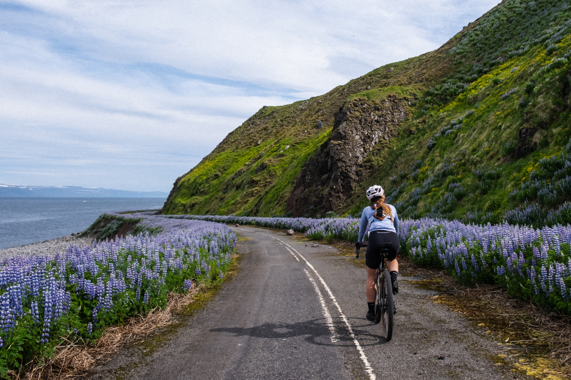 Bikepacking Iceland: When Things Go Low but Spirits Remain High – Werka ...