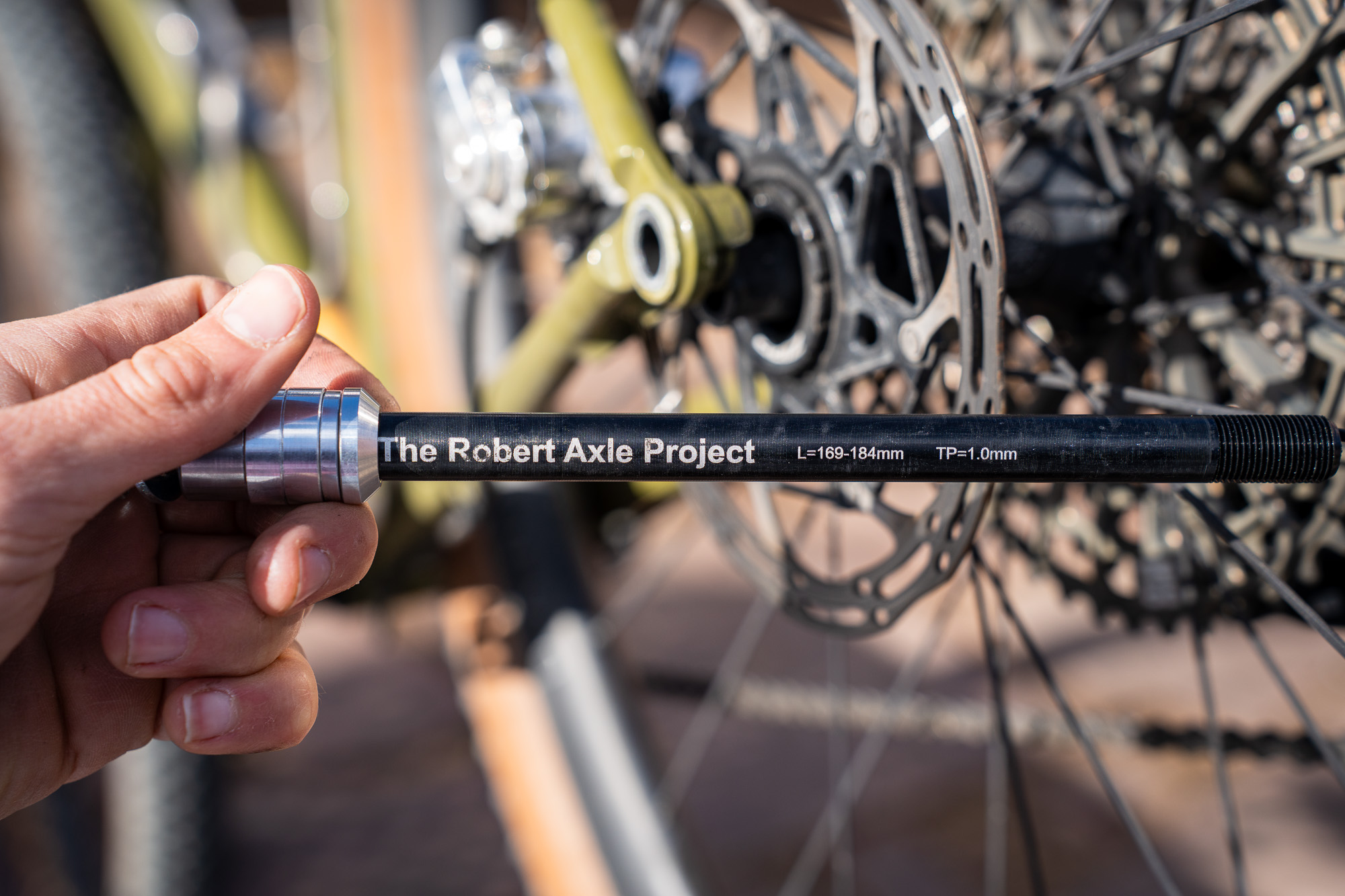 First Ride Review: Veolo Bike Trailer – Hailey Moore | The Radavist | A ...