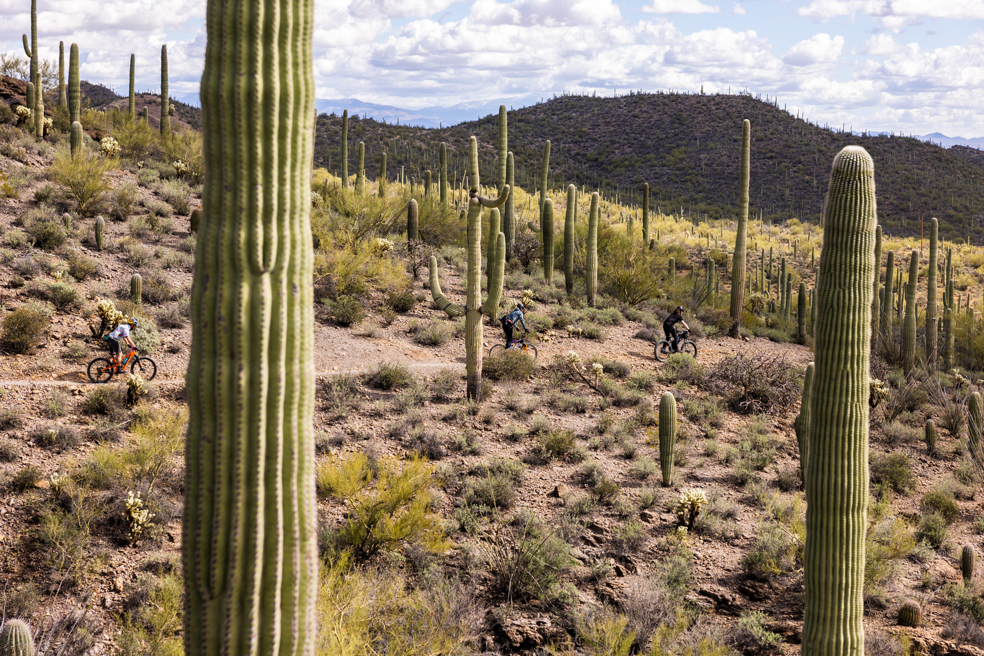 2024 Single Speed Arizona: If You Find It, Look For It – Josh Weinberg ...