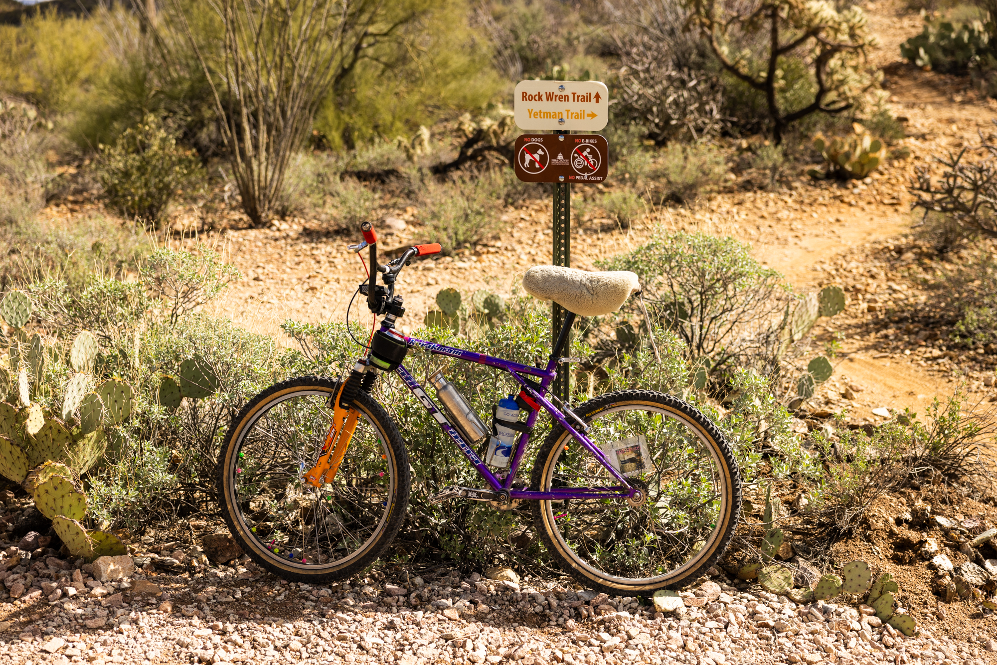 2024 Single Speed Arizona: If You Find It, Look For It – Josh Weinberg ...
