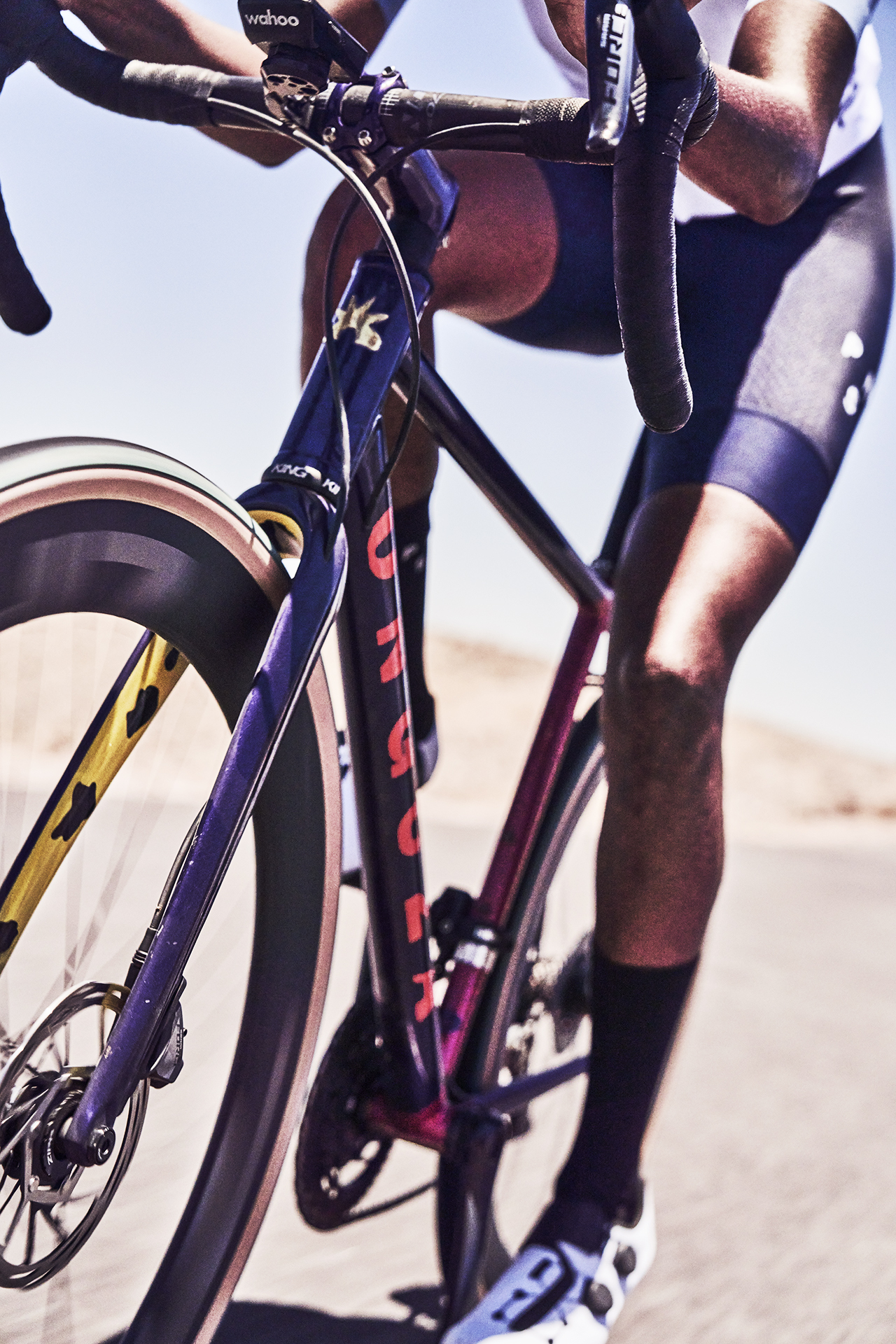 VIDEO: We’ve Got Lions – ONGUZA and Ben Ingham 2024 Launch | The ...