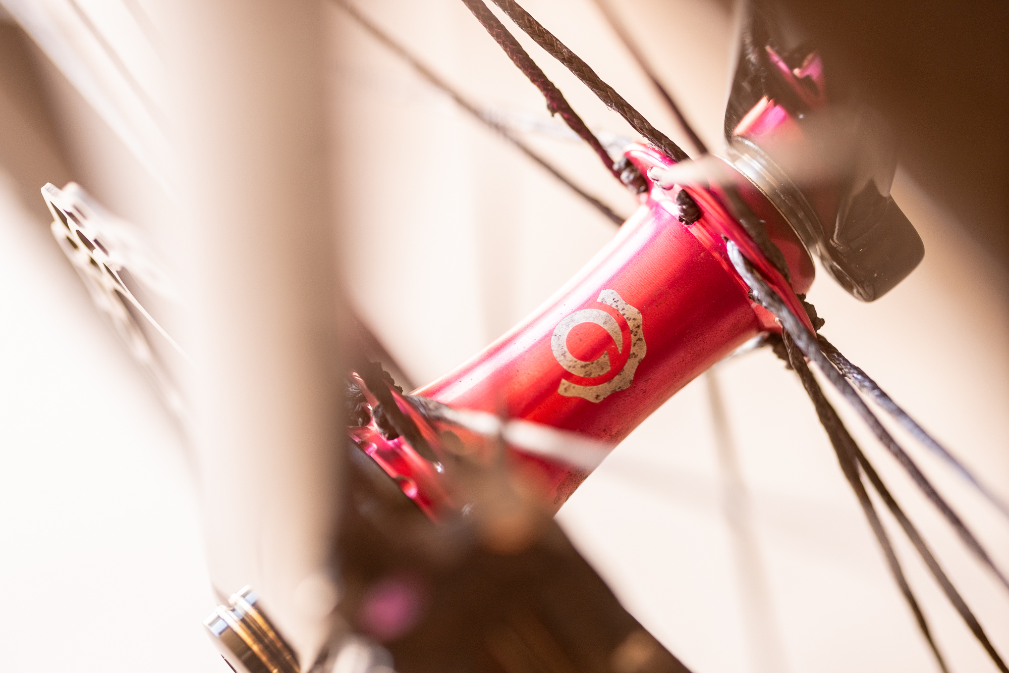 Mid South 2024: Eva’s Liberation Fab(ulous) Gravel Ripper – Jarrod Bunk | The Radavist | A group ...