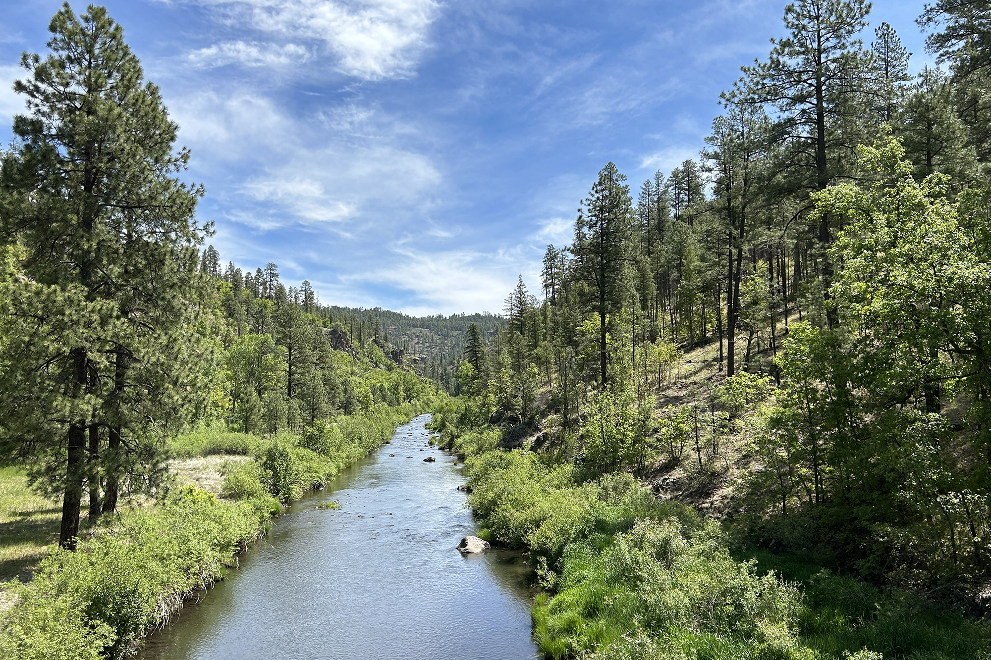 Bikepacking Roots’ Newest Community Route: El Lobo Lupus in Eastern ...
