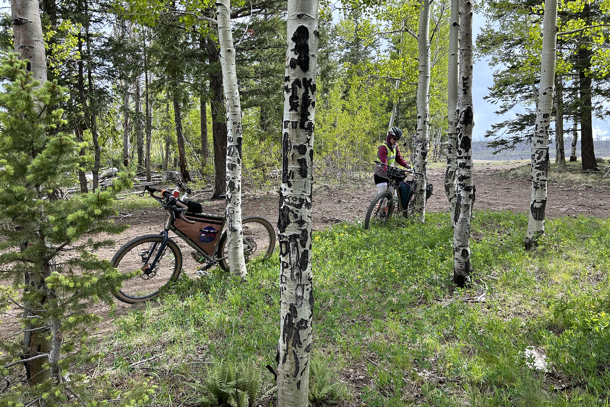 Bikepacking Roots’ Newest Community Route: El Lobo Lupus in Eastern Arizona | The Radavist | A ...