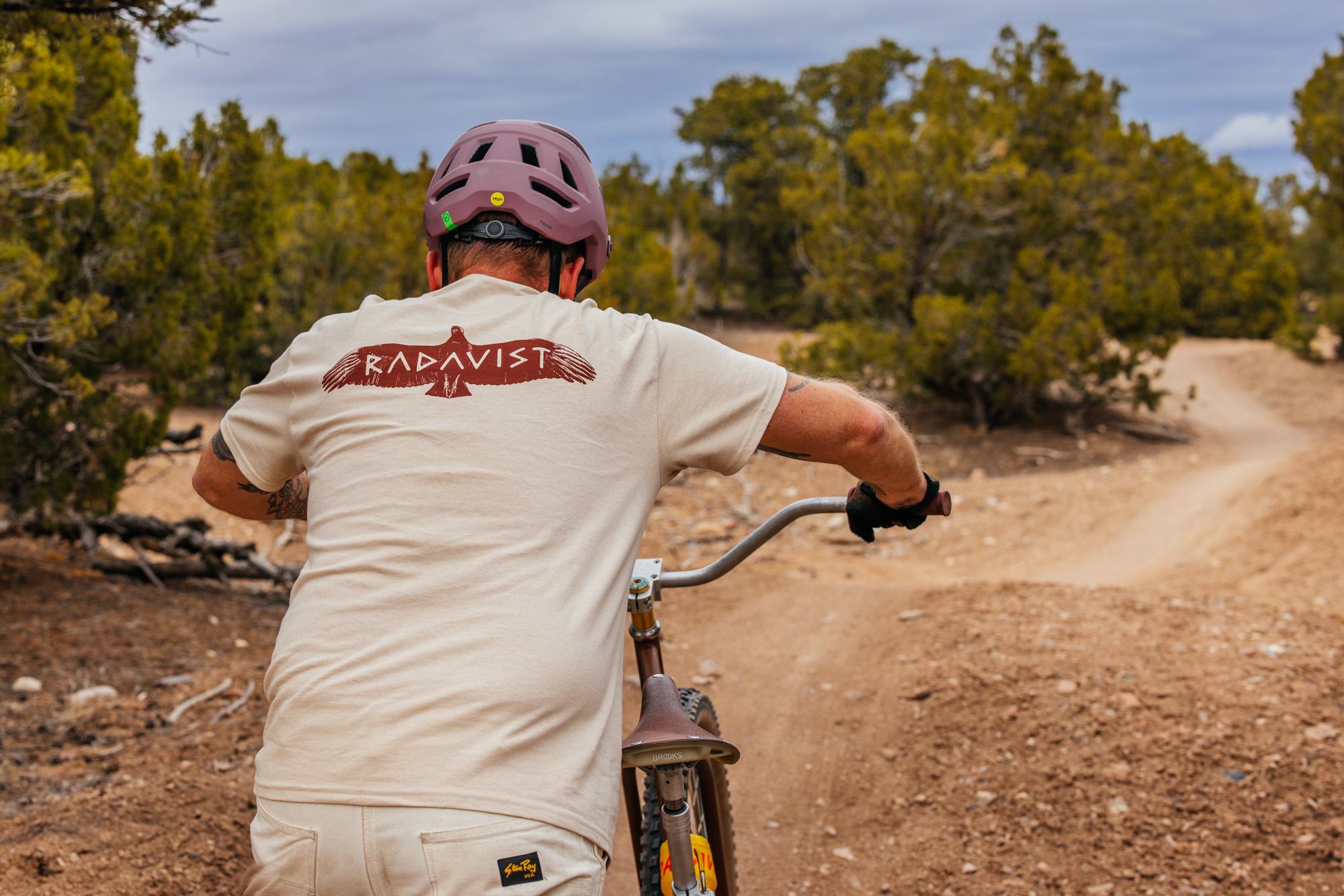 Monē Bikes SB2 Review: Cruisin’ for a Bruisin’ – John Watson & Cari ...