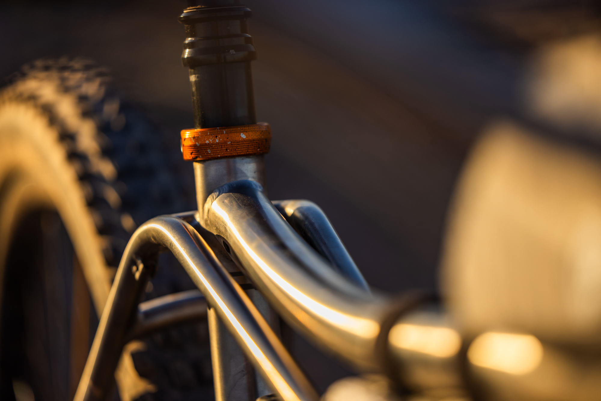 Forever Bike: Josh’s Custom Oddity Singlespeed With Ignite Components ...