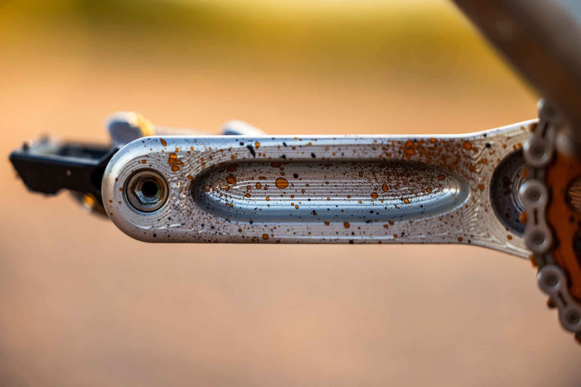 Forever Bike: Josh’s Custom Oddity Singlespeed With Ignite Components ...