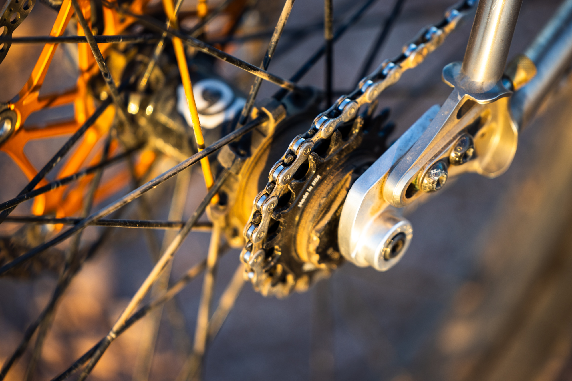 Forever Bike: Josh’s Custom Oddity Singlespeed With Ignite Components ...