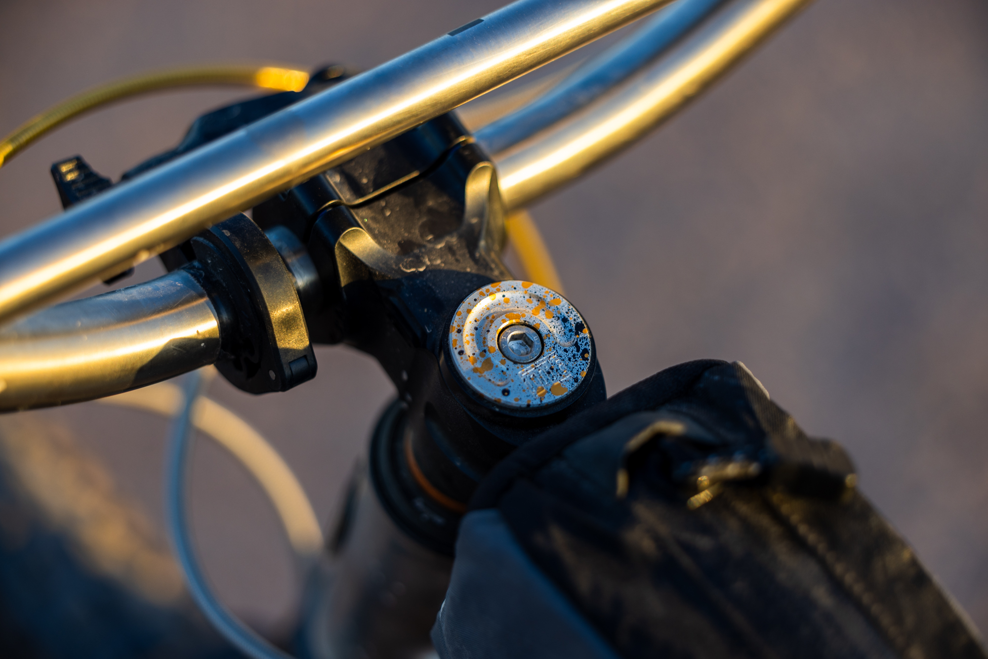 Forever Bike: Josh’s Custom Oddity Singlespeed With Ignite Components ...