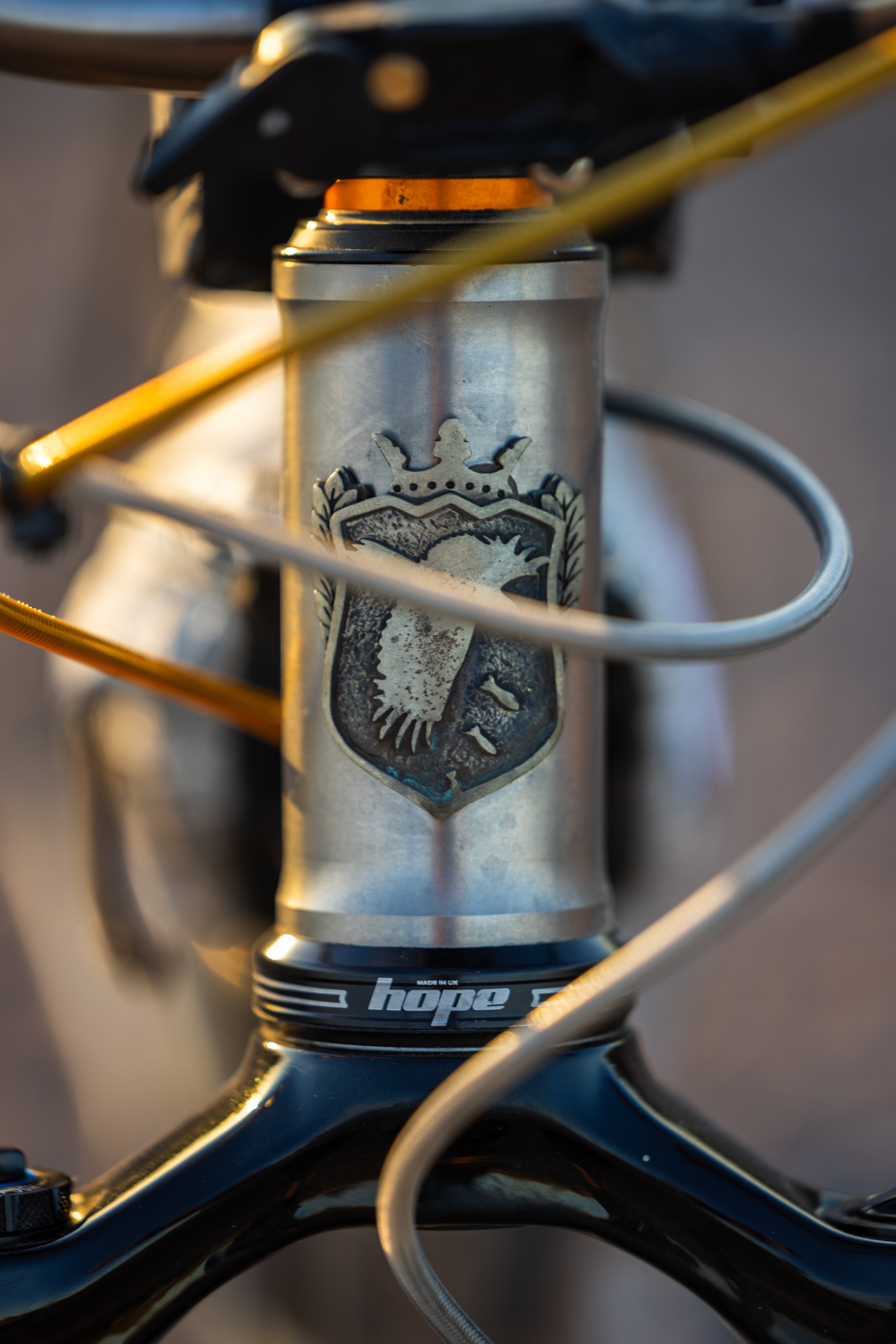 Forever Bike: Josh’s Custom Oddity Singlespeed With Ignite Components ...