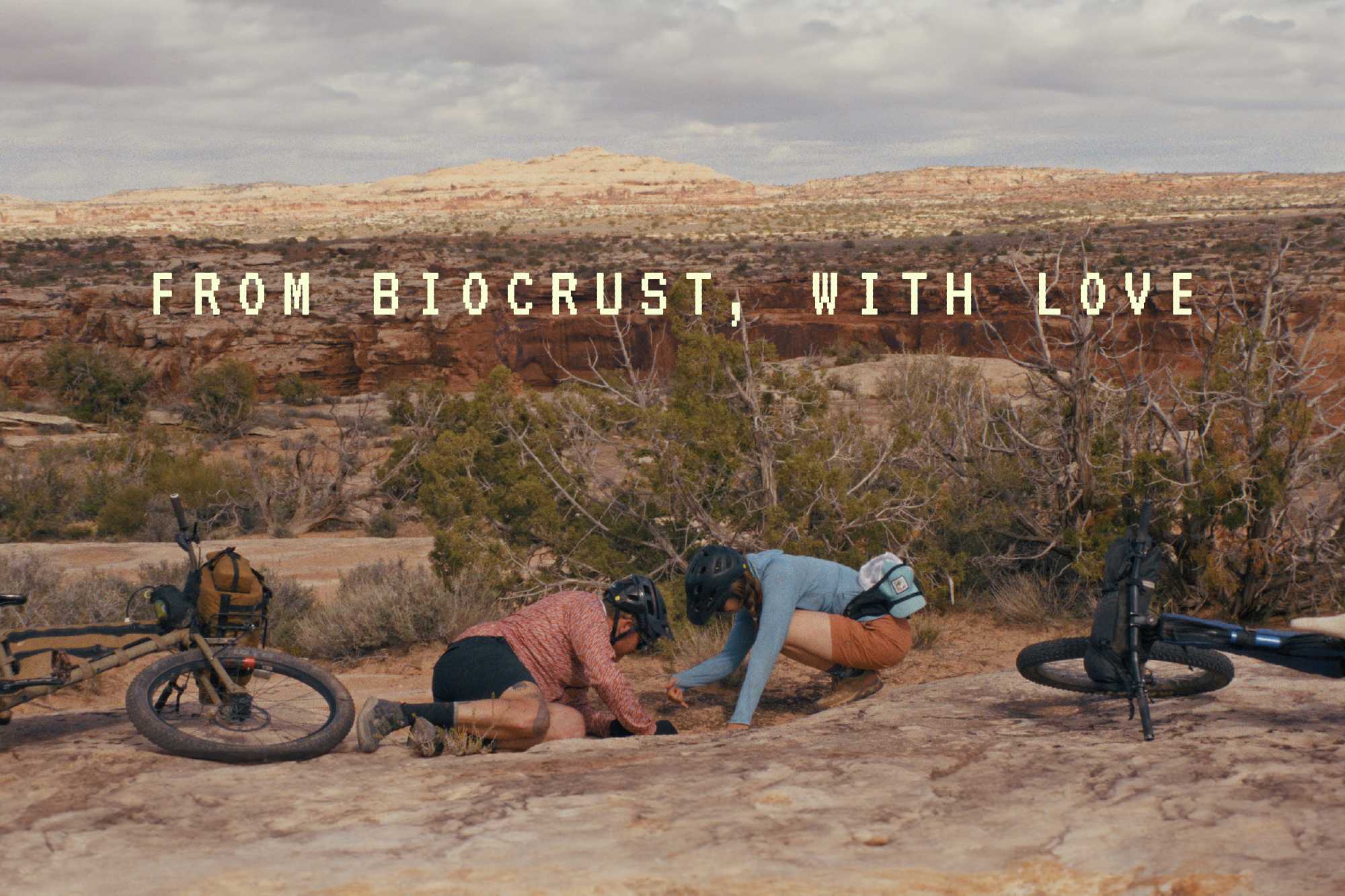 VIDEO: From Biocrust, With Love | The Radavist | A group of individuals ...