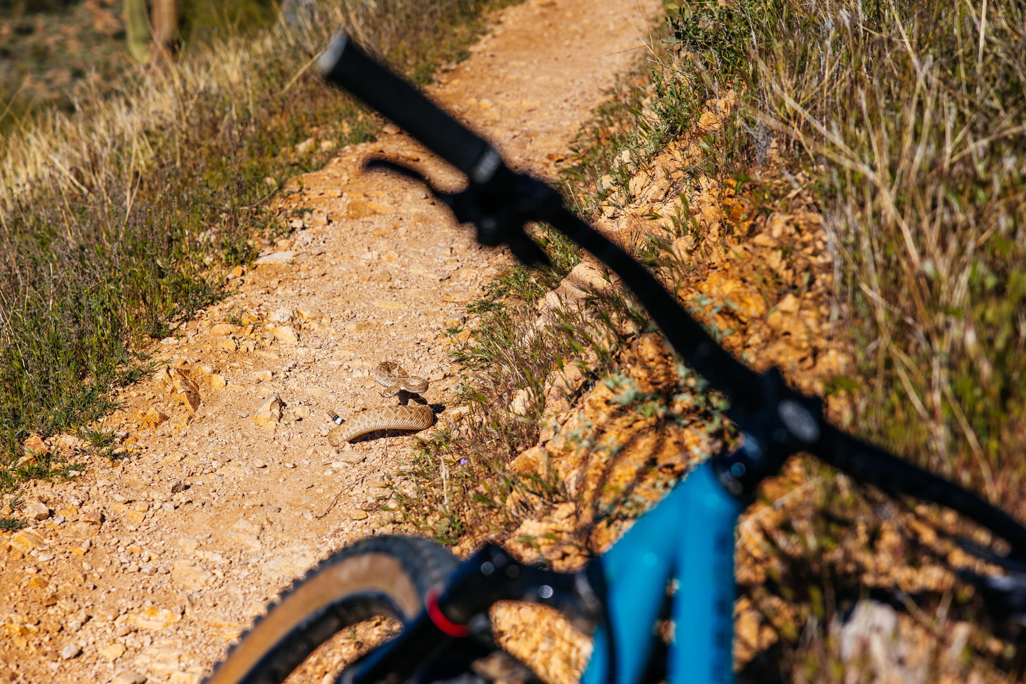 Cotic Bikes FlareMAX Gen5 Review: Less is More – John Watson & Josh ...