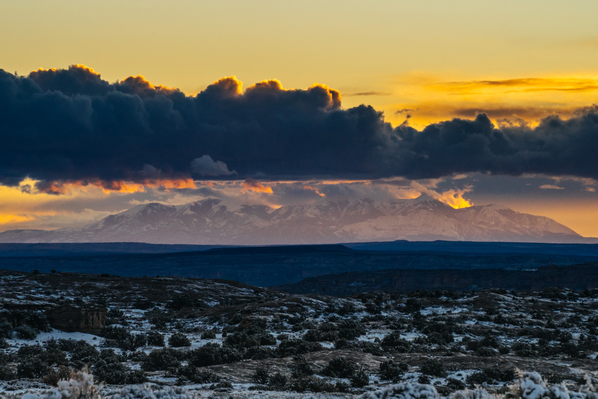 From Biocrust, With Love: Shred Lightly Principles and Story – Dr ...