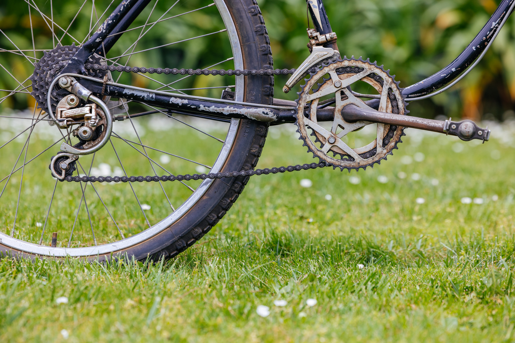 History of Mountain Bike Evolution Show: Bicycle Taxonomy – john watson ...