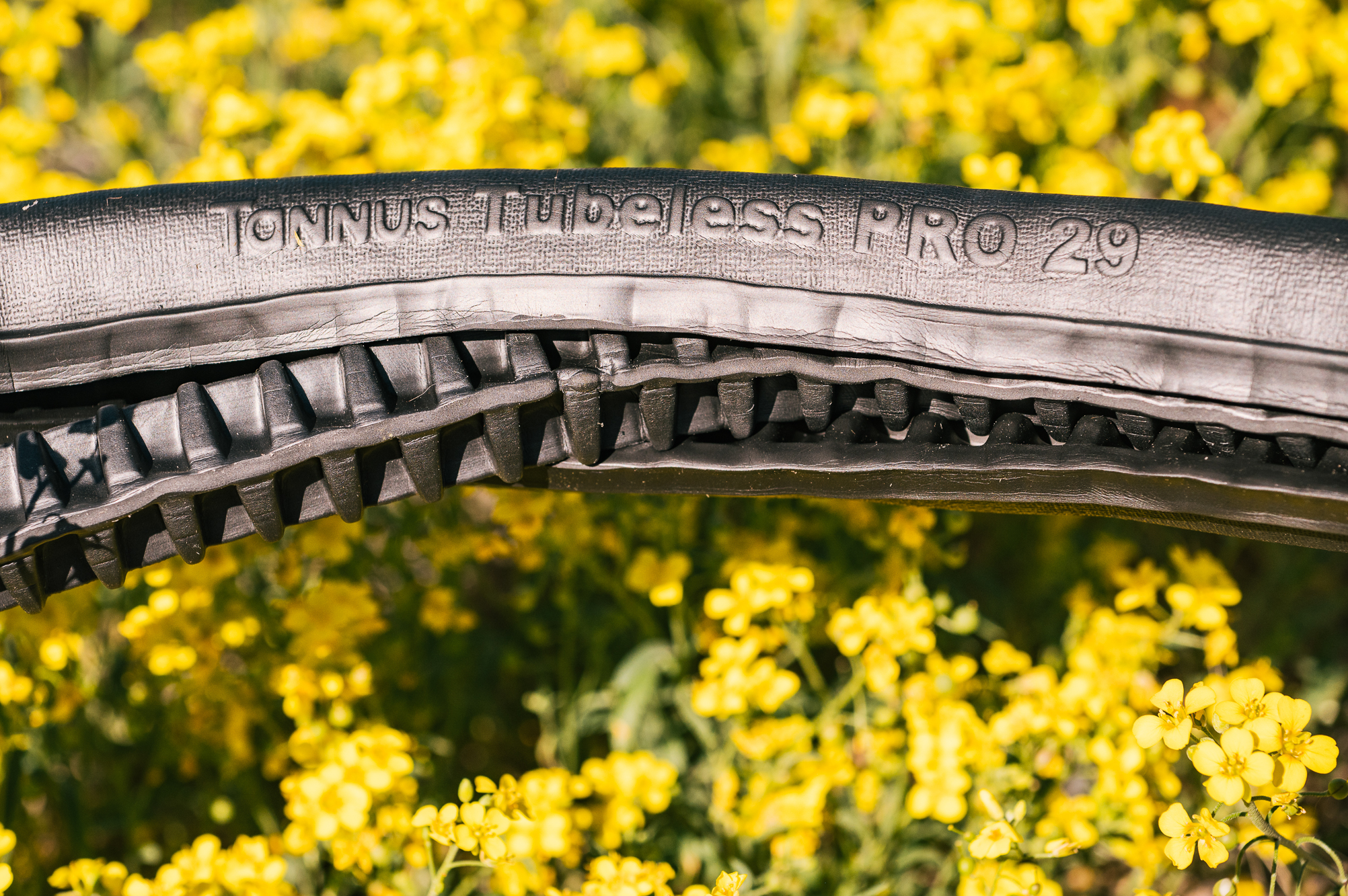 Modular Protection: Tannus Fusion Tubeless Tire Insert Review – Spencer ...