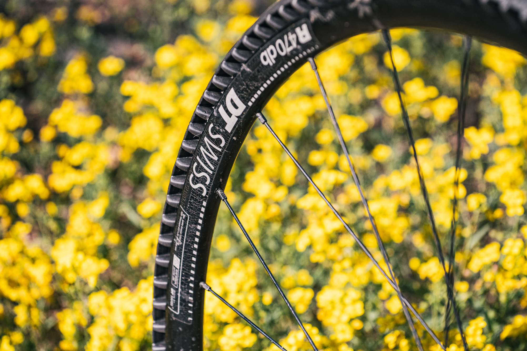 Modular Protection: Tannus Fusion Tubeless Tire Insert Review – Spencer ...