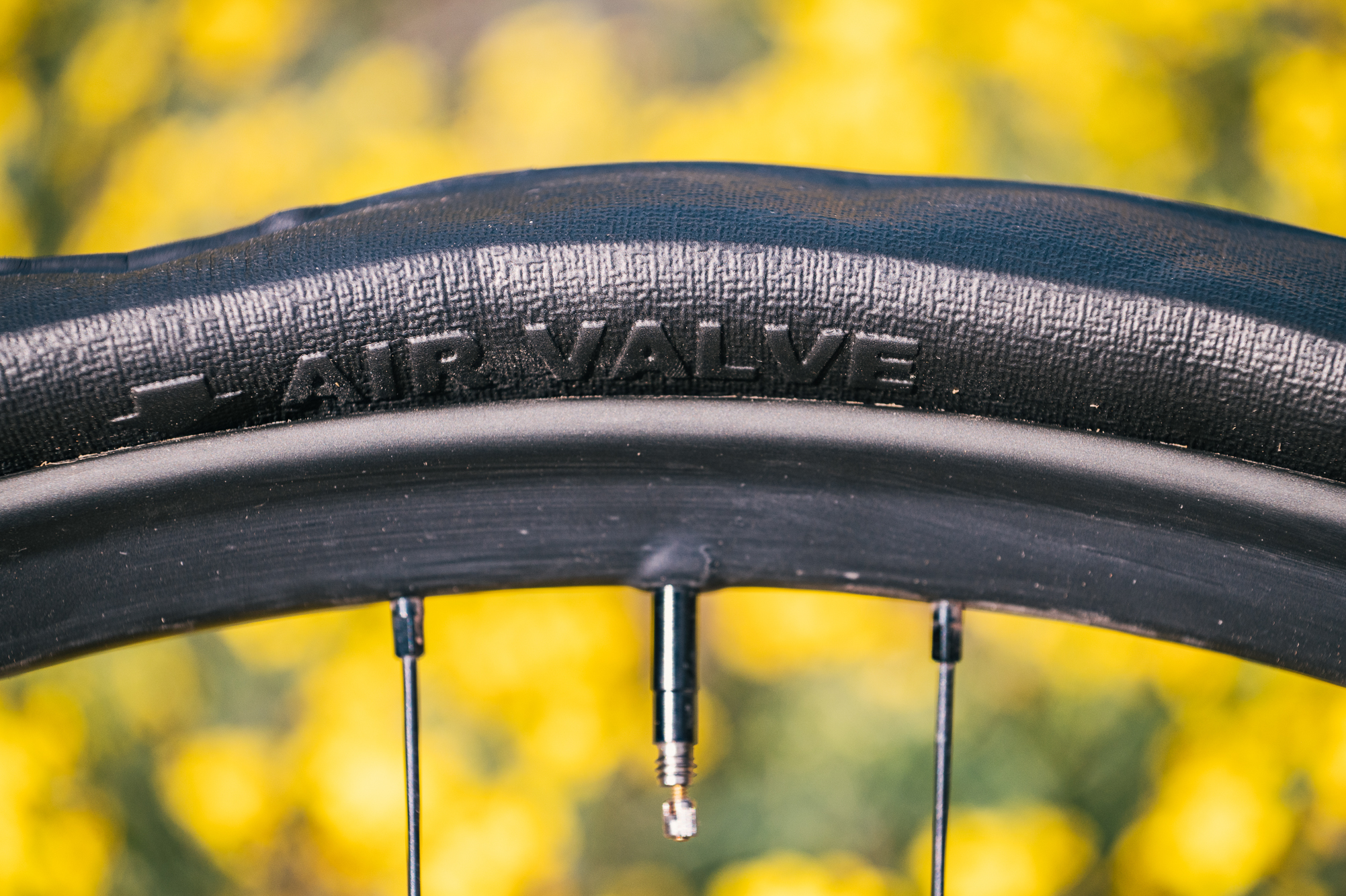 Modular Protection: Tannus Fusion Tubeless Tire Insert Review – Spencer ...