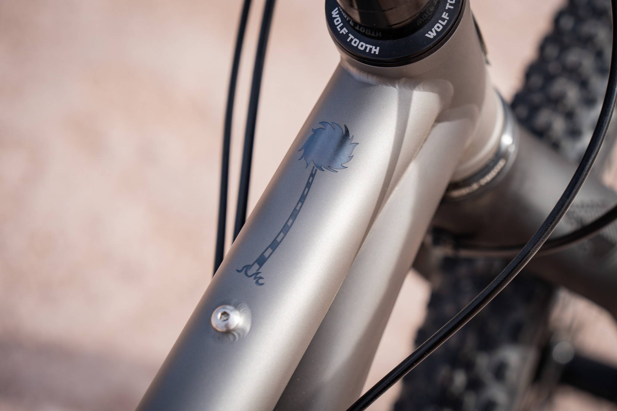 Esker Cycles 2024 Lorax Titanium Drop Bar MTB | The Radavist | A group ...