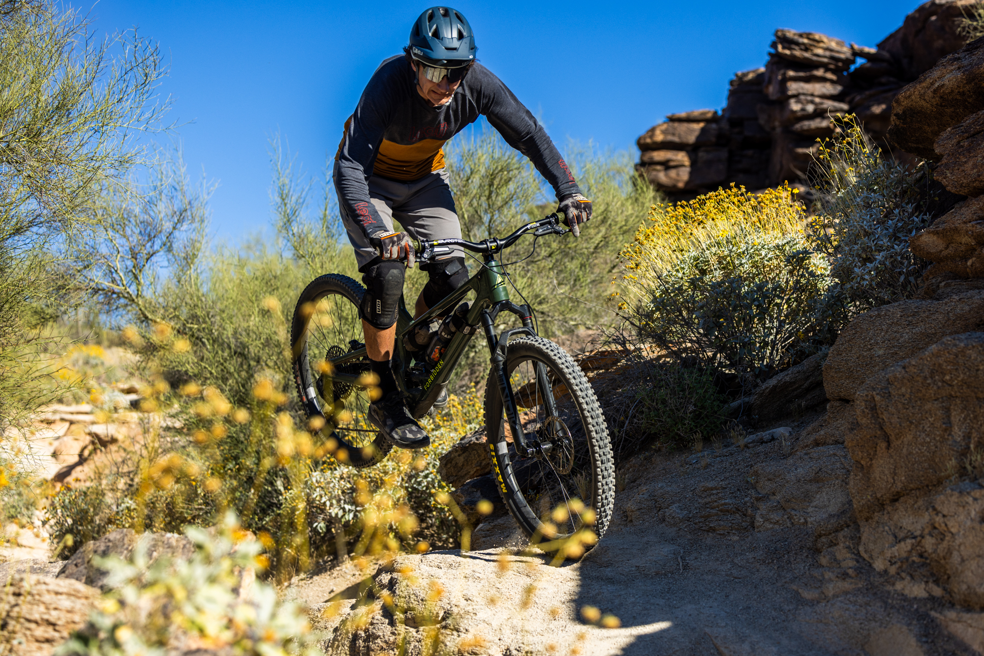 Forbidden Druid V2 Review: High-Minded High Pivot – Travis Engel | The ...