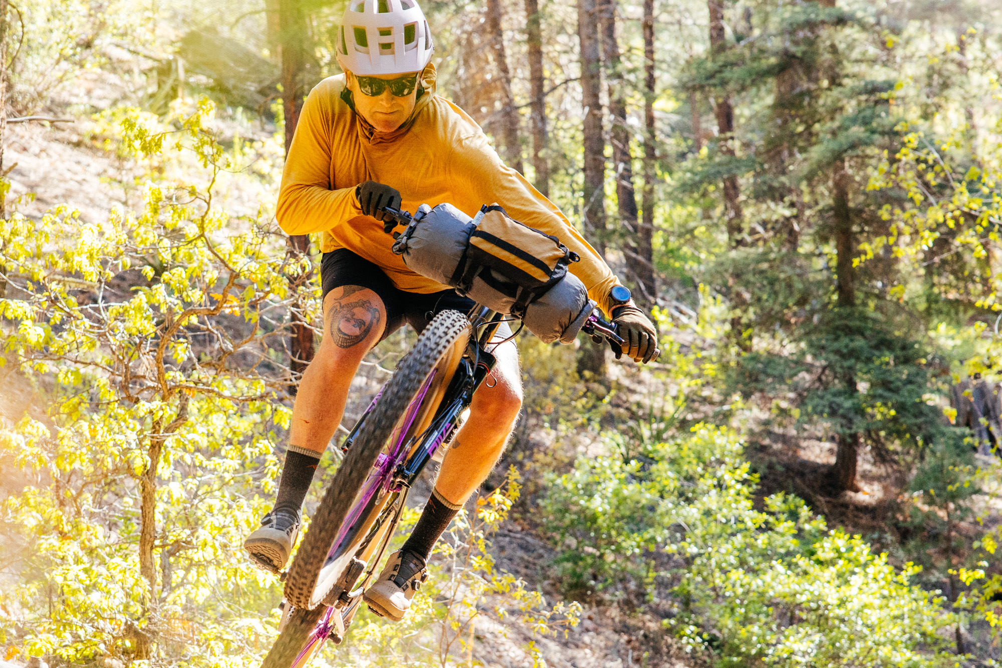 Rogue Panda Blue Ridge Handlebar Harness Review: Shred-Ready – John ...