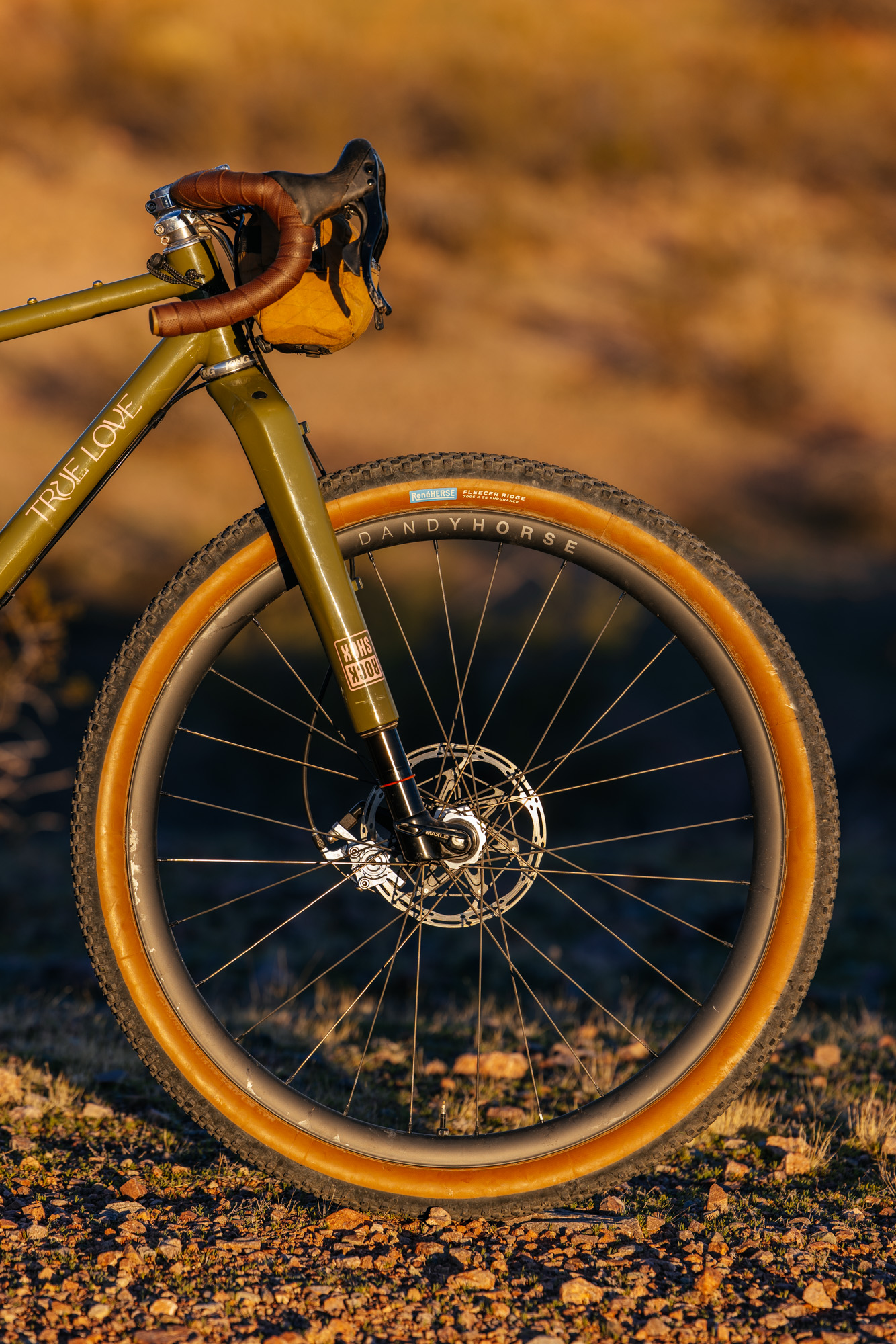 Update: Hailey’s True Love Cycles Heart Breaker With Rigid Whisky No. 9 ...