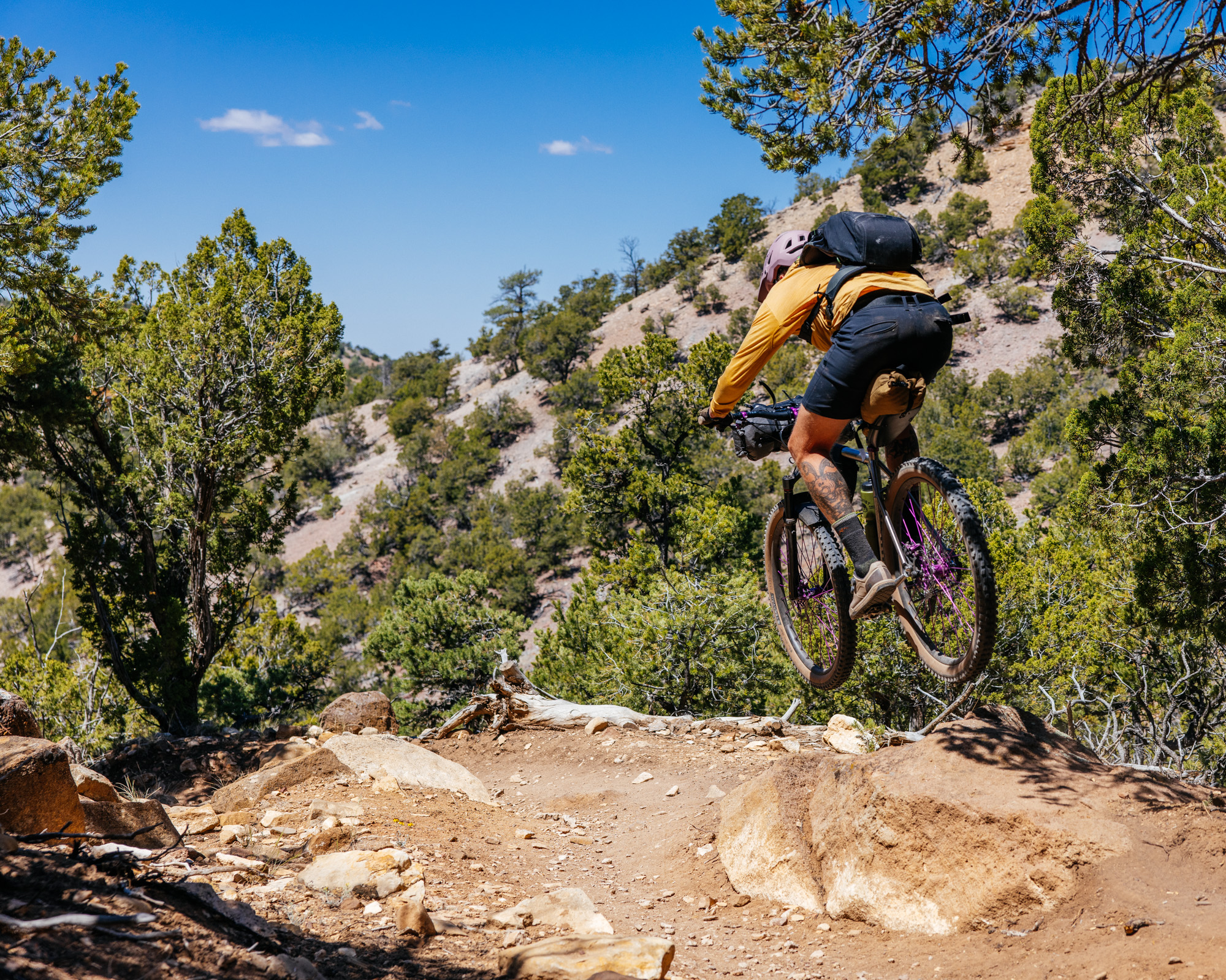 Rogue Panda Blue Ridge Handlebar Harness Review: Shred-Ready – John ...