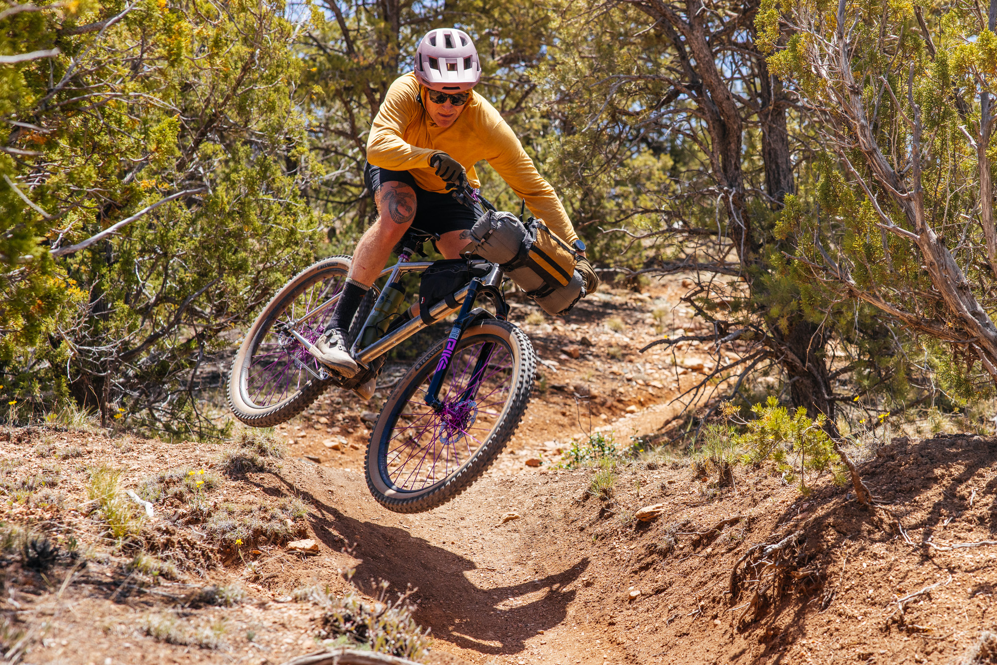 Rogue Panda Blue Ridge Handlebar Harness Review: Shred-Ready – John ...