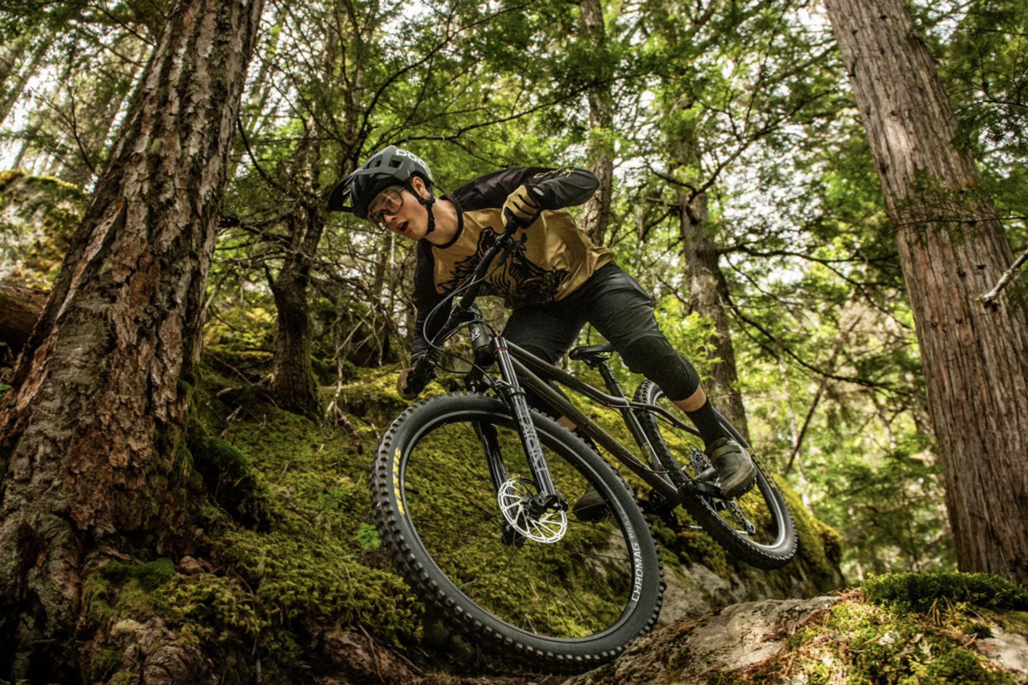 Chromag Updated the Rootdown 29er Hardtail | The Radavist | A group of ...
