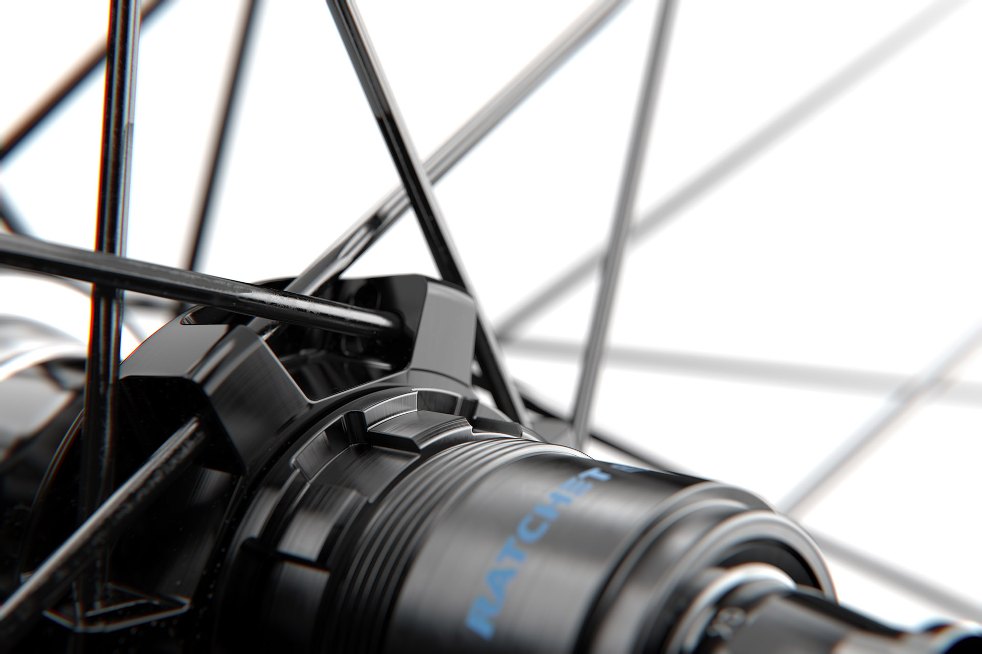 All New DT Swiss 1200 MTB Carbon Wheelsets: Spare No Expense – Travis ...