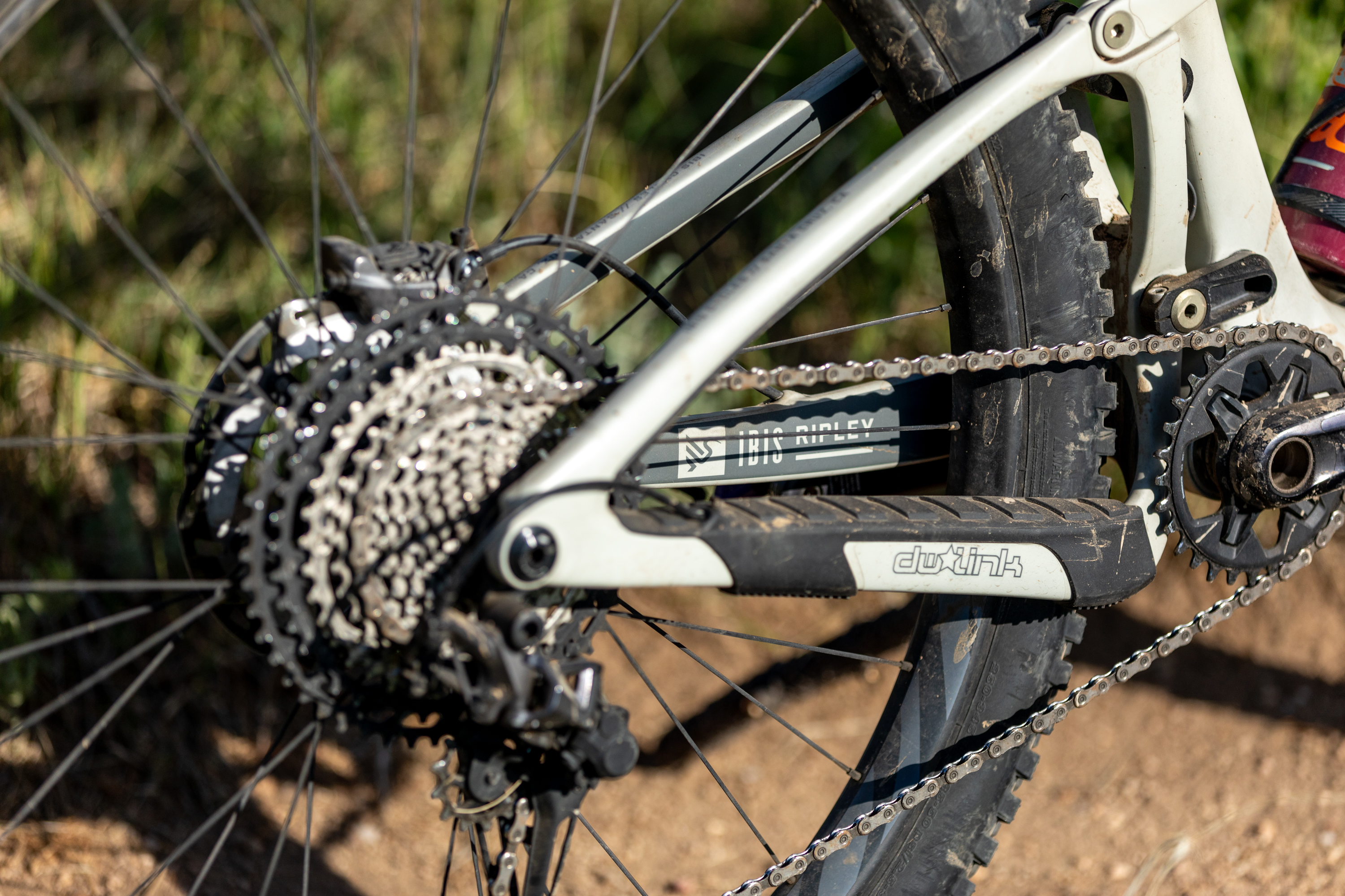 Ibis Cycles Ripley Review: A First-Timer’s Crash Course in Riding Full ...