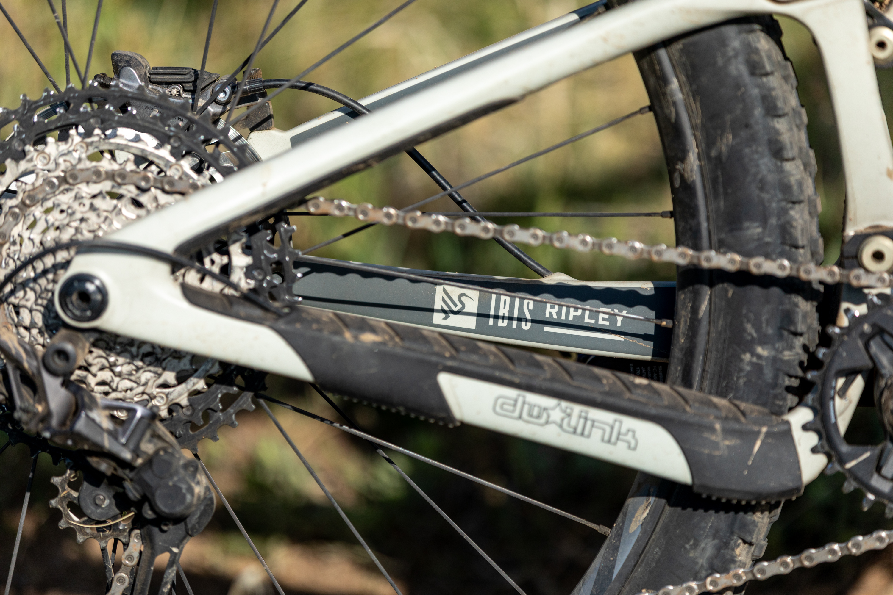 Ibis Cycles Ripley Review: A First-Timer’s Crash Course in Riding Full ...