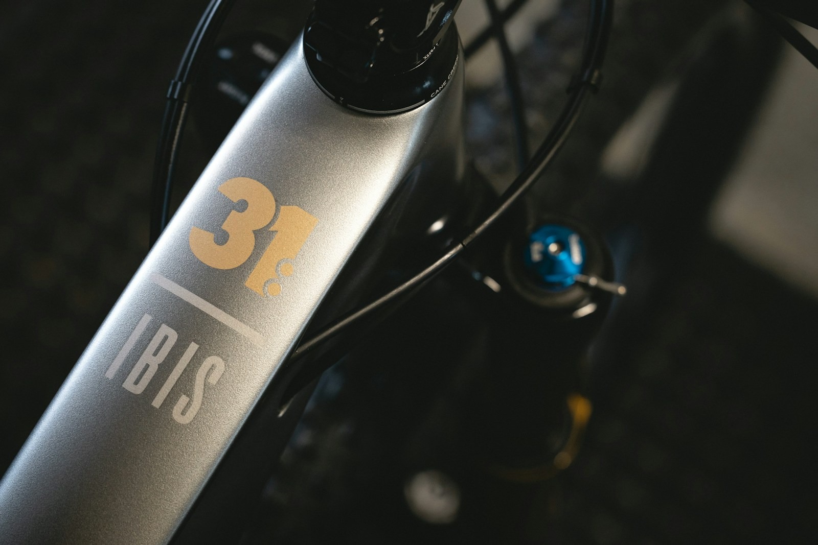 Ibis Cycles Limited Edition USA-Made Team 31 Exie Frames | The Radavist ...