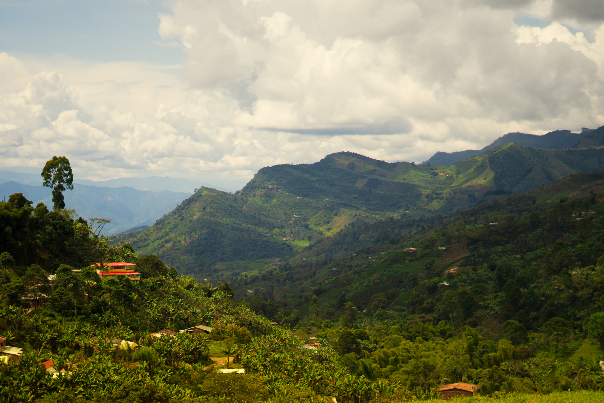 Zen and the Art of Trailside Coffee: A Philosophical Approach – Joe Sasada | The Radavist | A ...