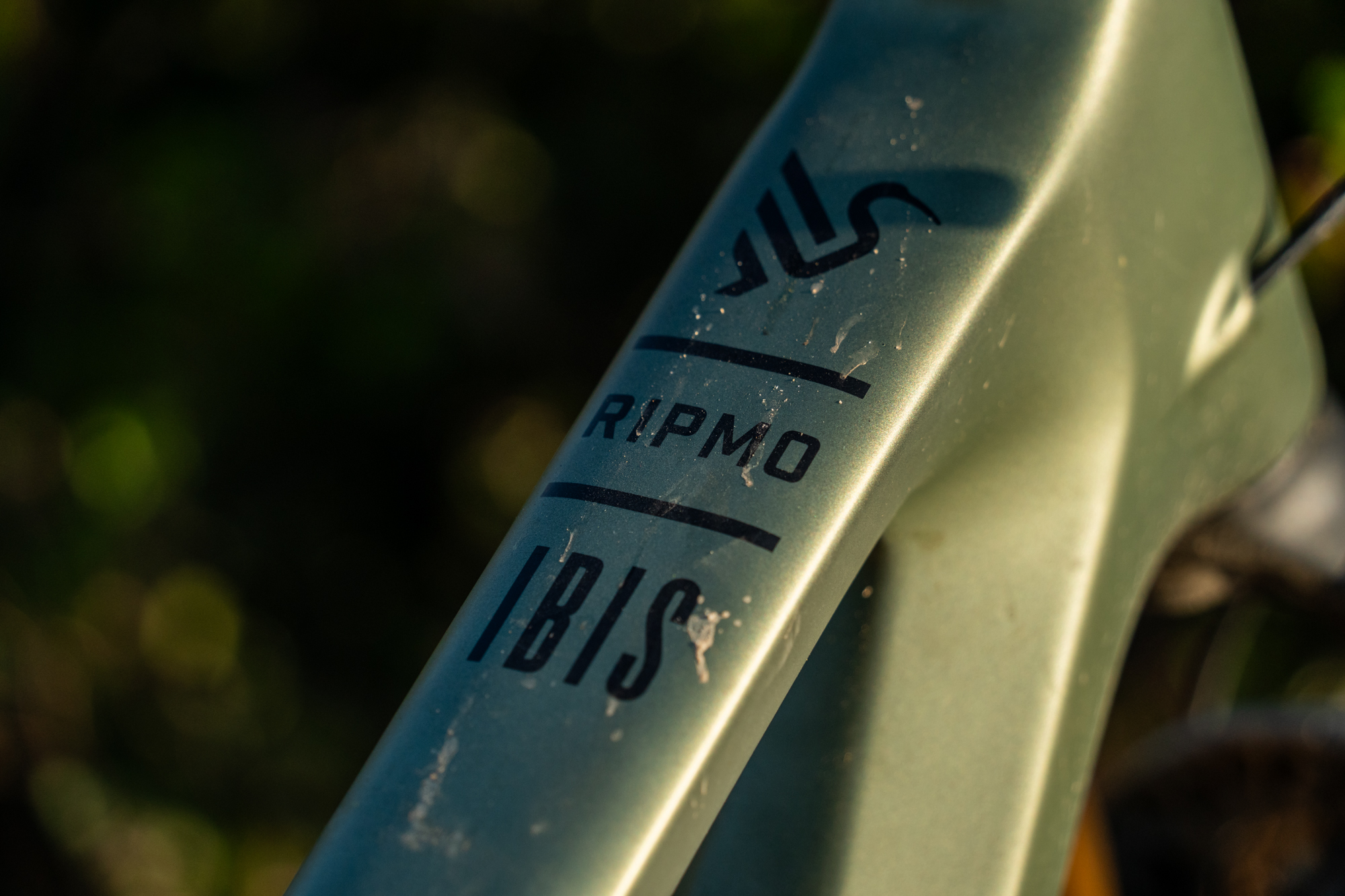 Ibis Ripmo V3 First-Ride Review – Travis Engel | The Radavist | A group ...