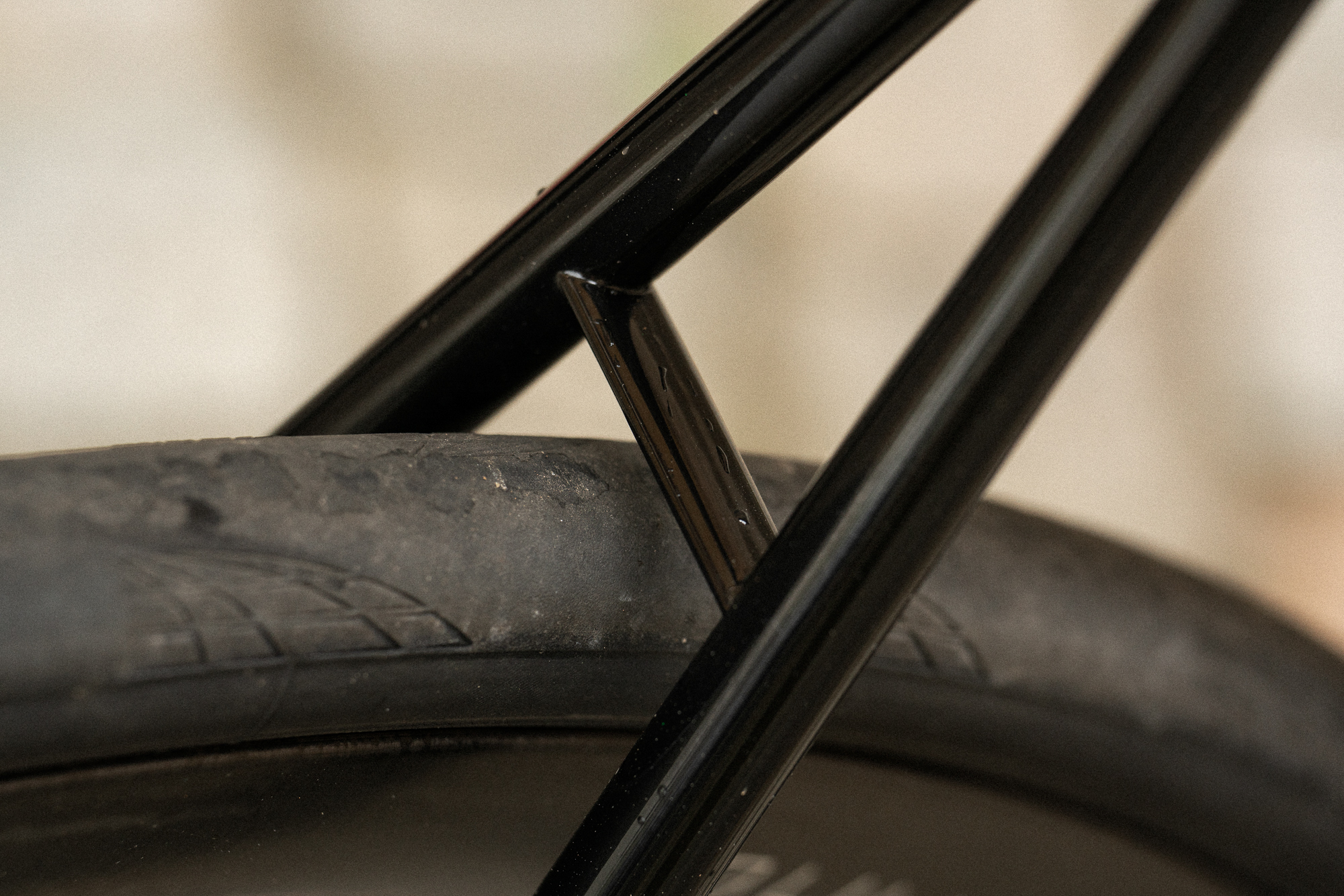 Readers’ Rides: Cicli Bonanno Futomaki Disc – Bold Will Hold – Alex ...