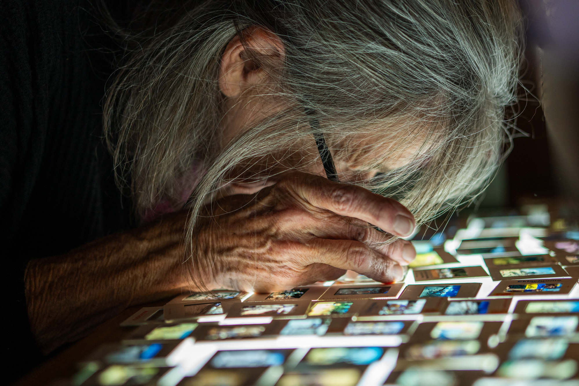 FULL LENGTH FILM RELEASE! Camera Corner: Wende Cragg Documents the ...