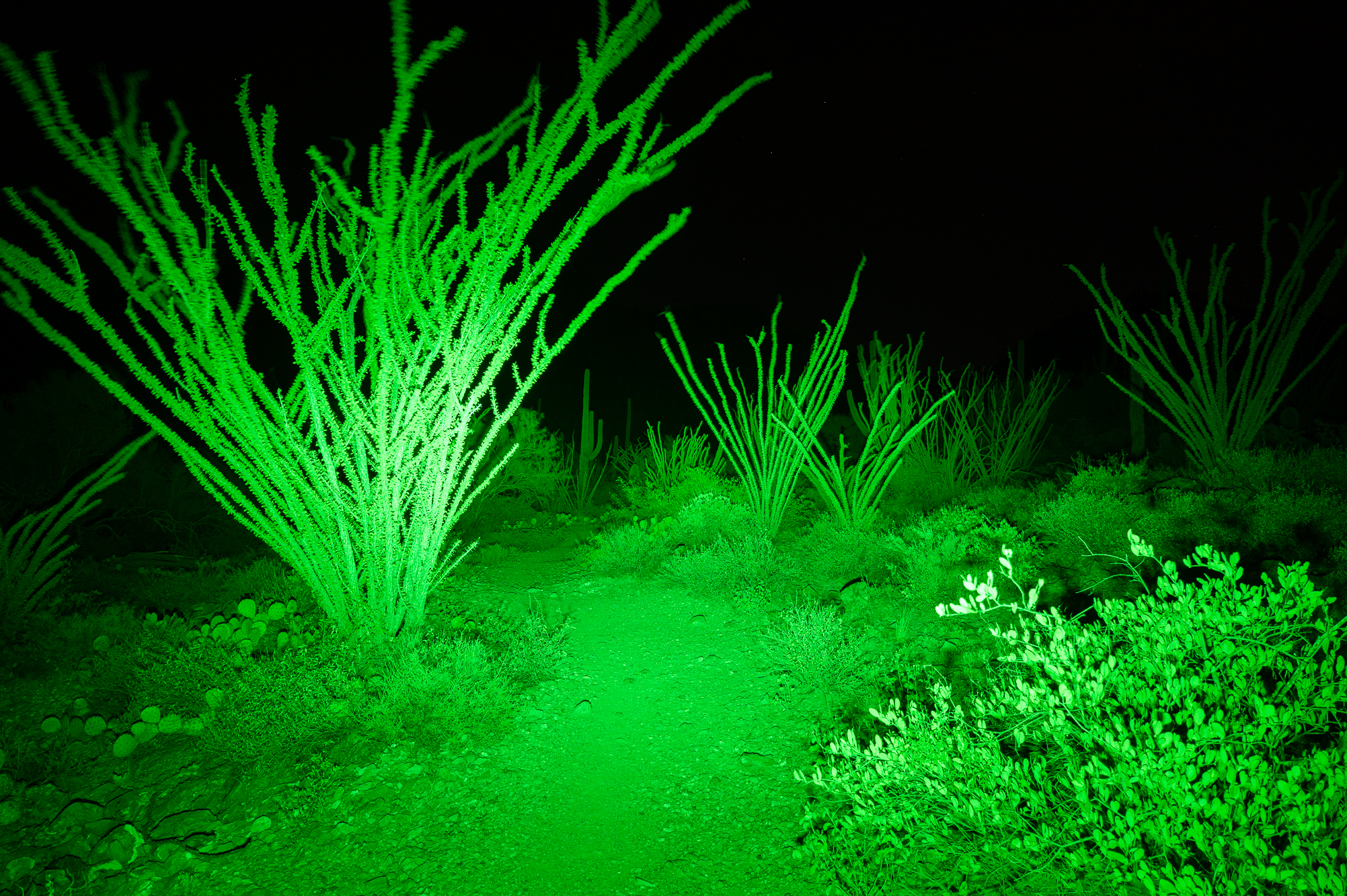 Testing Custom Outbound Lighting Monochromatic Bike Lights: A Fool’s ...