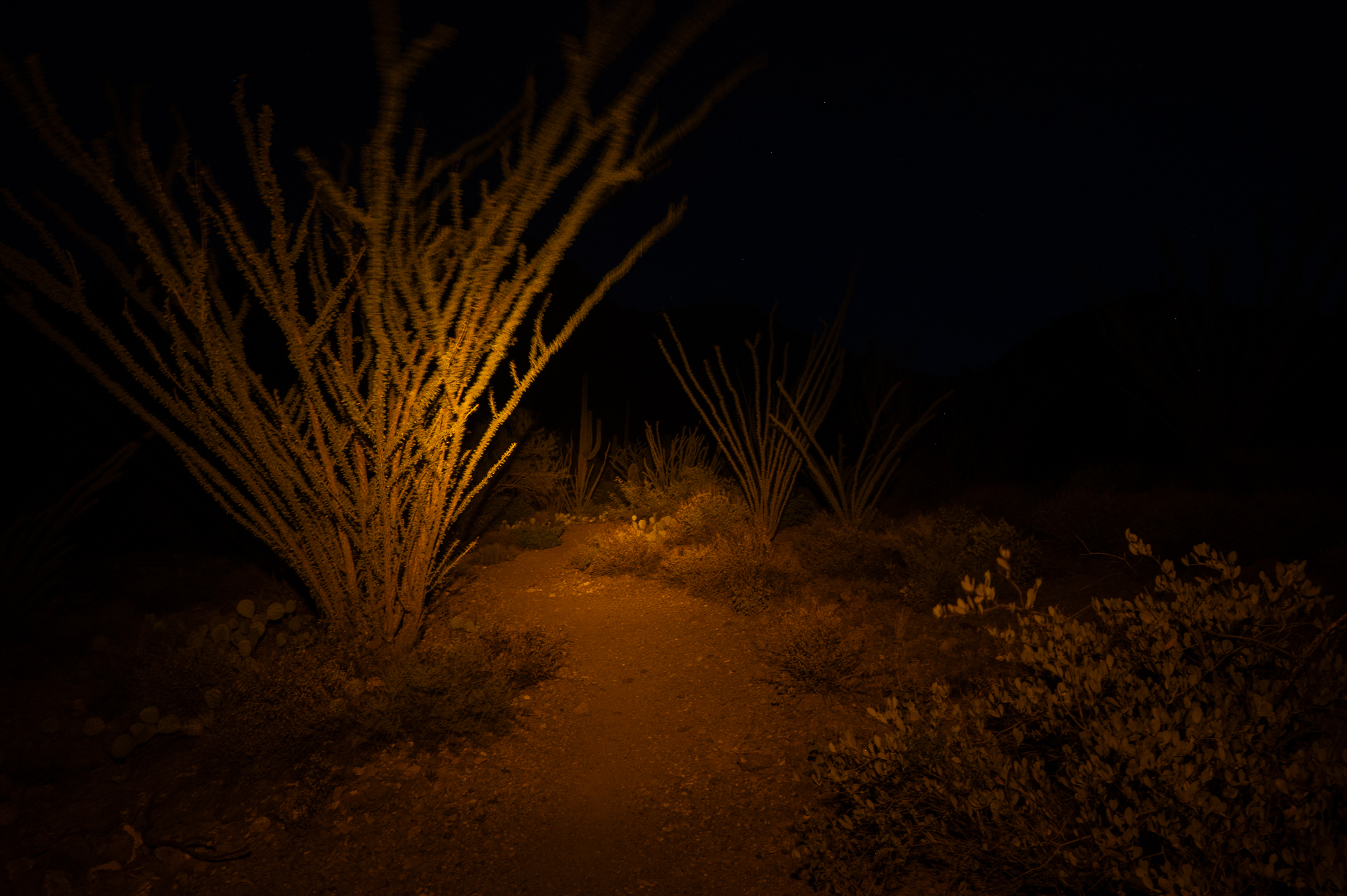 Testing Custom Outbound Lighting Monochromatic Bike Lights: A Fool’s ...