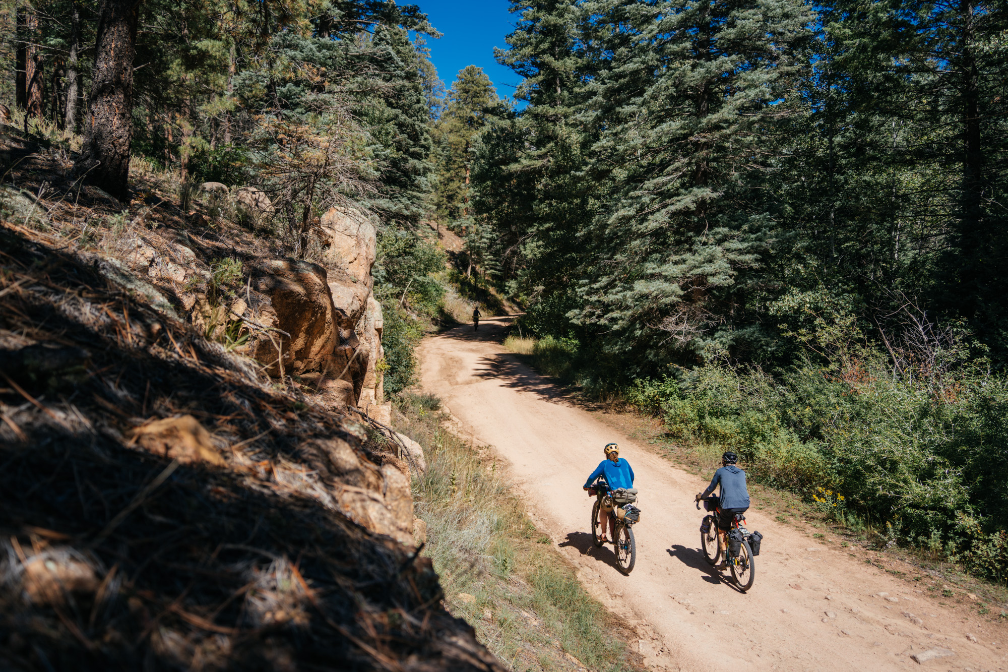 Bikepacking Roots 2024 Community Survey is Happening and You Can Win ...