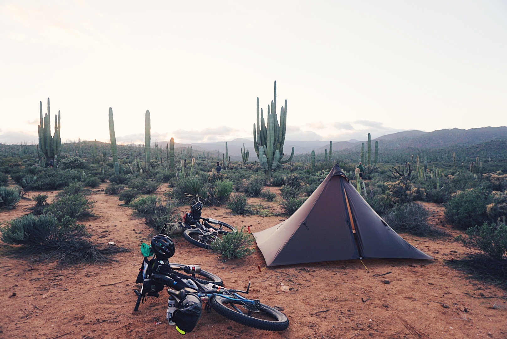 Ride with GPS and Sarah Swallow Update Baja Divide Route | The Radavist ...