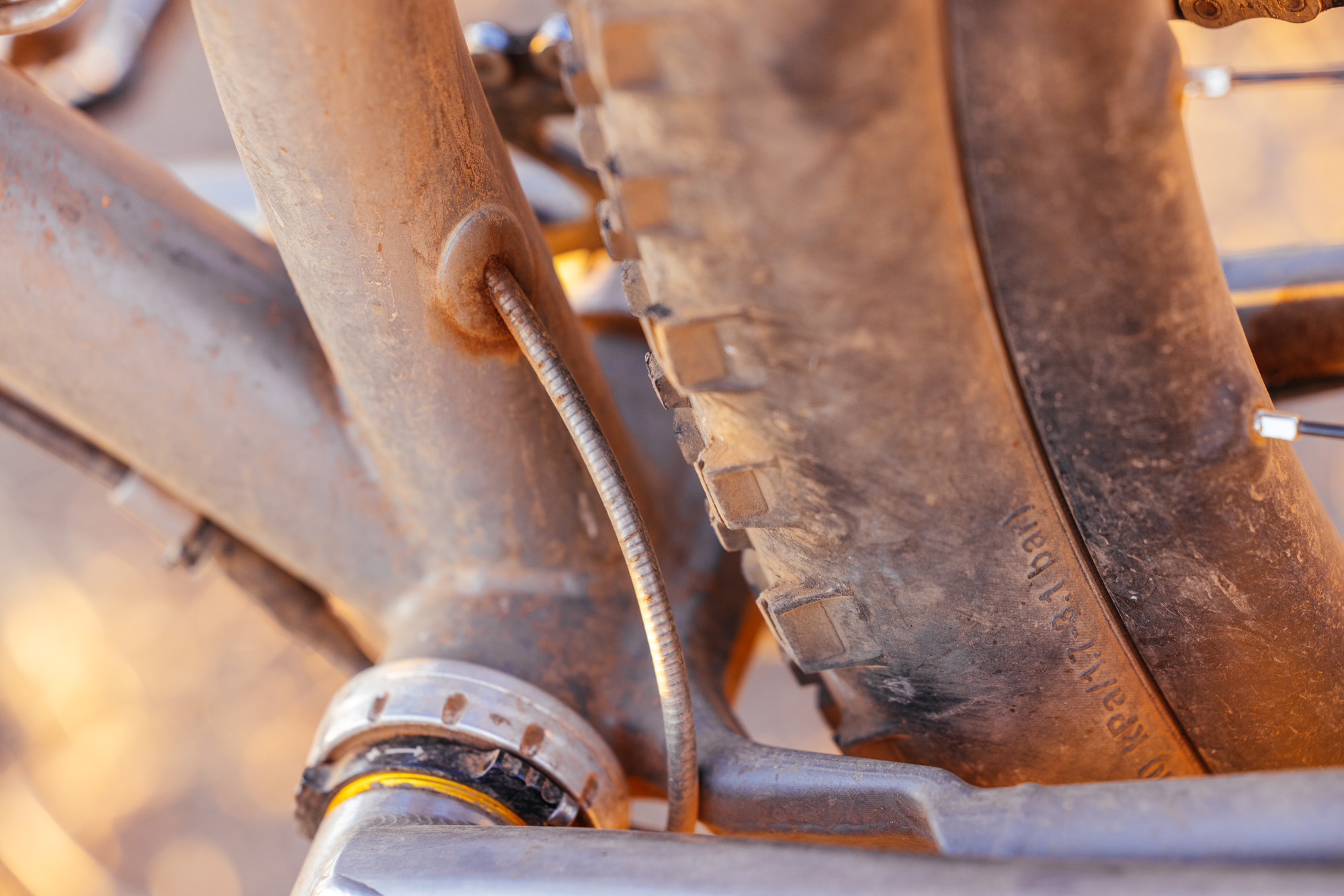 Jay from You Bet! and His Meriwether Steel 140 mm Hardtail 29er – John Watson | The Radavist | A ...