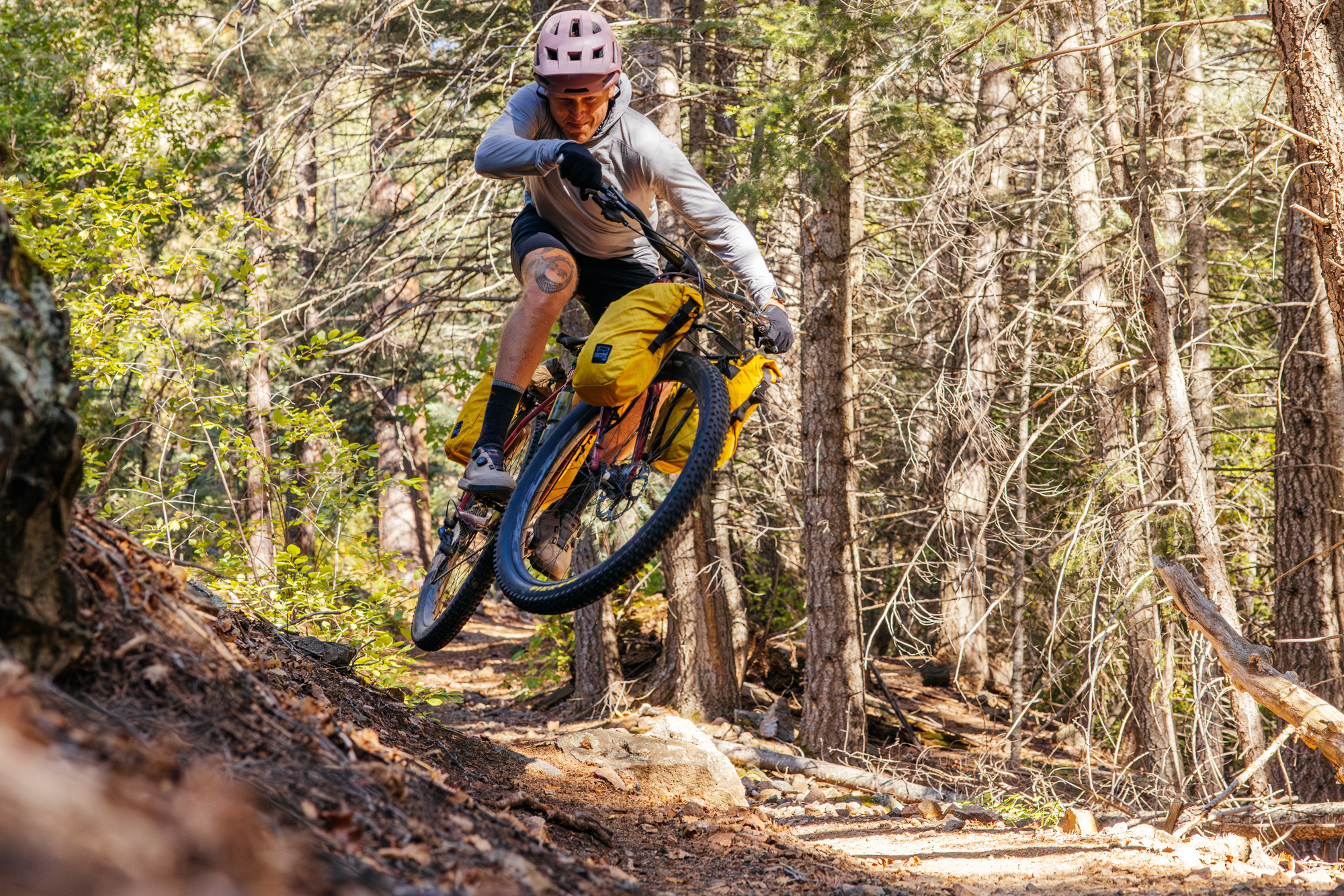 The Dust-Up: Should Brands Clearly Classify Bicycles With ISO or ASTM ...