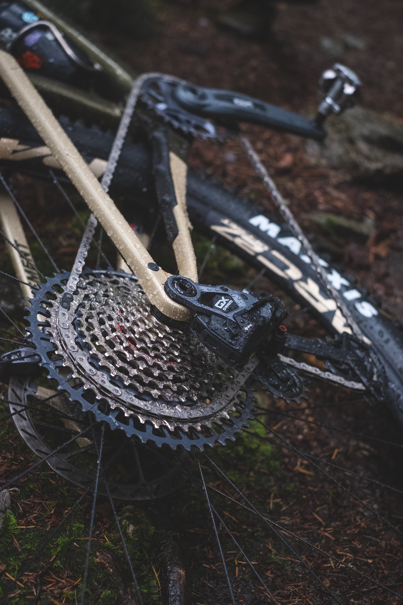 rocky mountains for kids