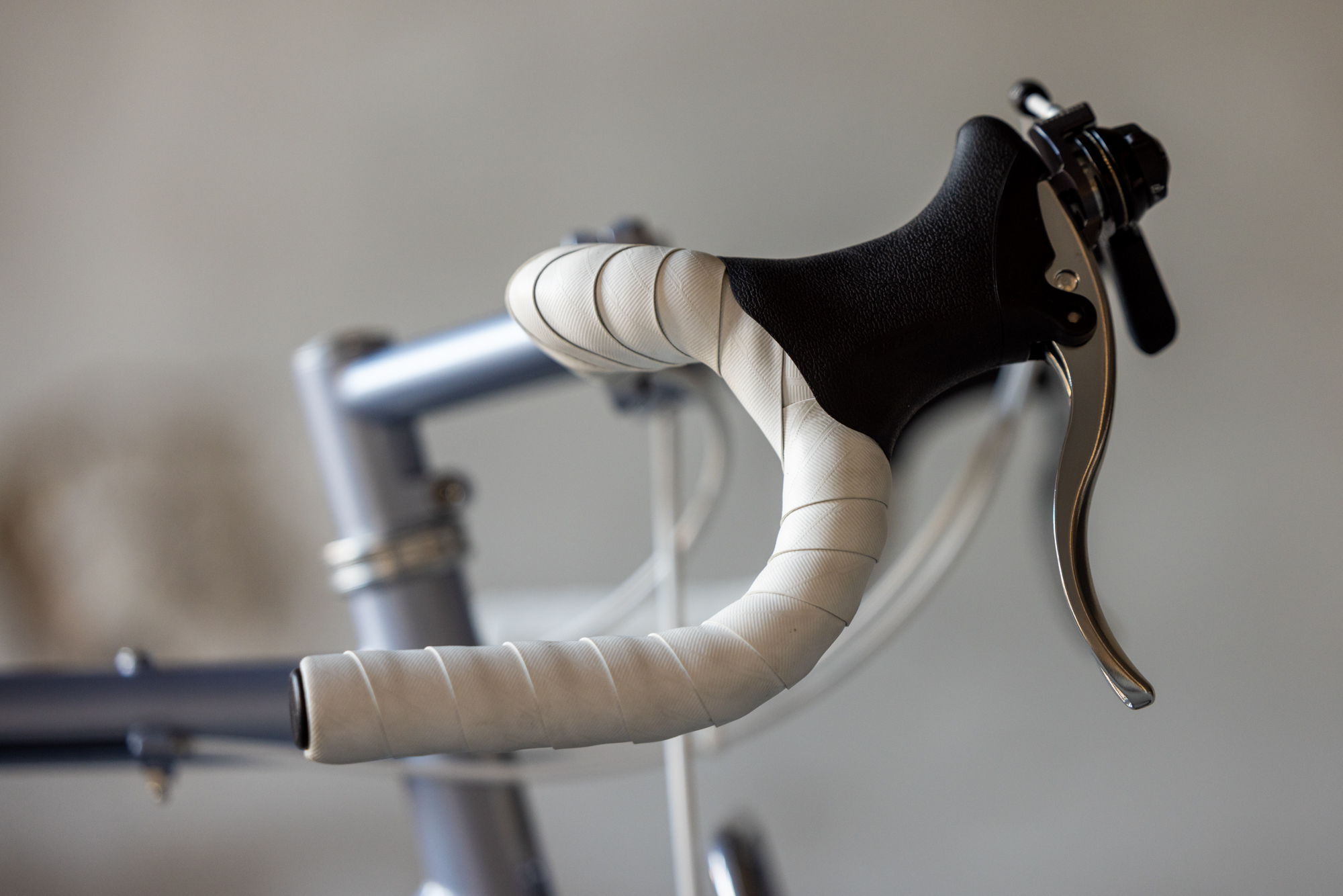 2024 Bespoked Dresden: A Special Fern Bicycles Chuck Gravel Touring ...