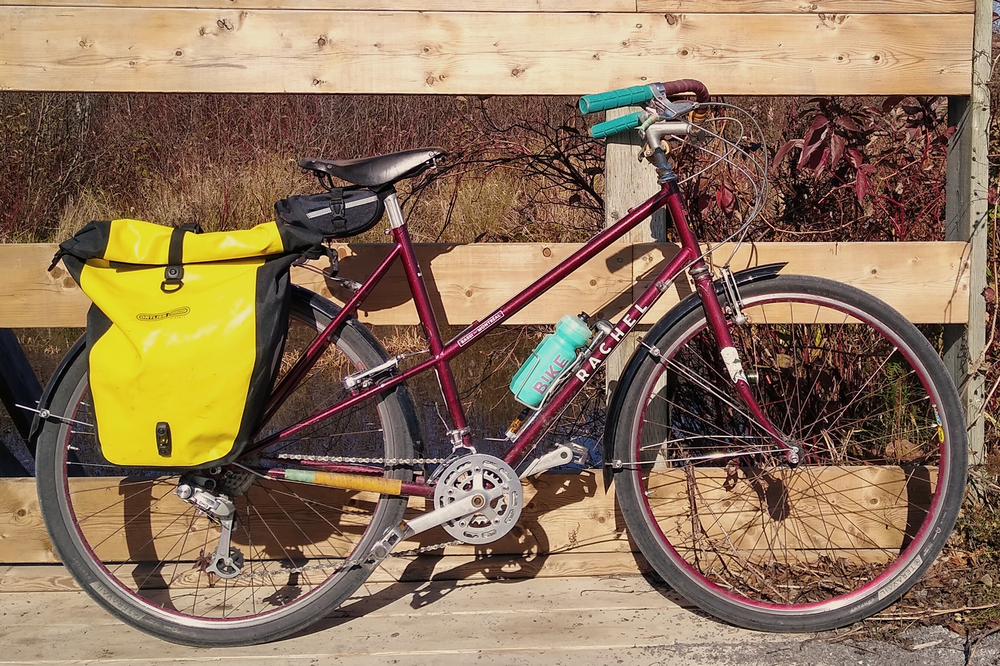 Readers’ Rides: Juniper’s Bassi Rachel Everything Bike | The Radavist ...
