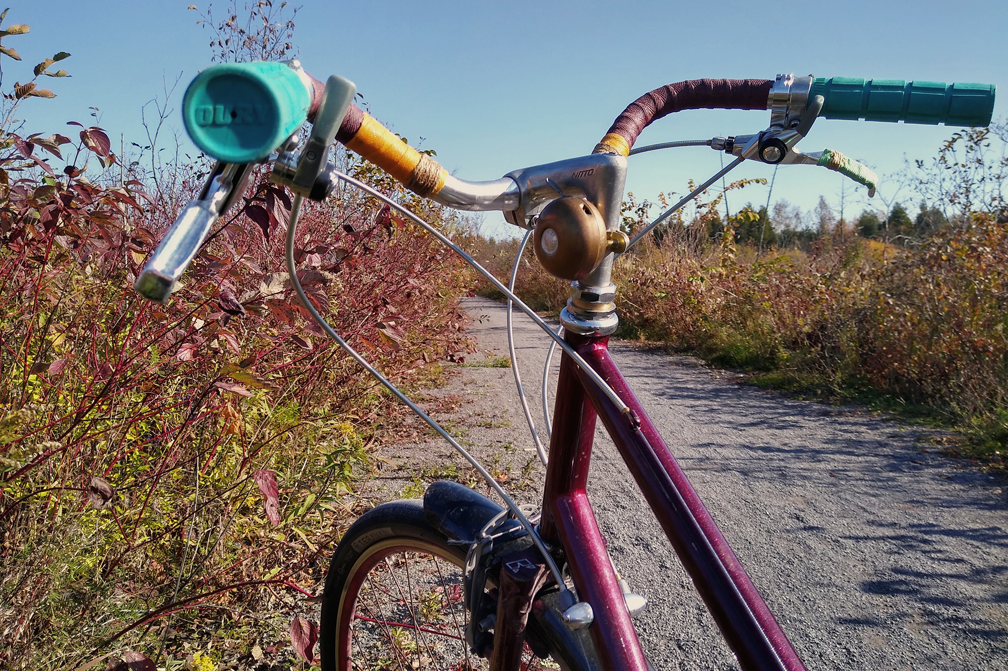 Readers’ Rides: Juniper’s Bassi Rachel Everything Bike | The Radavist ...