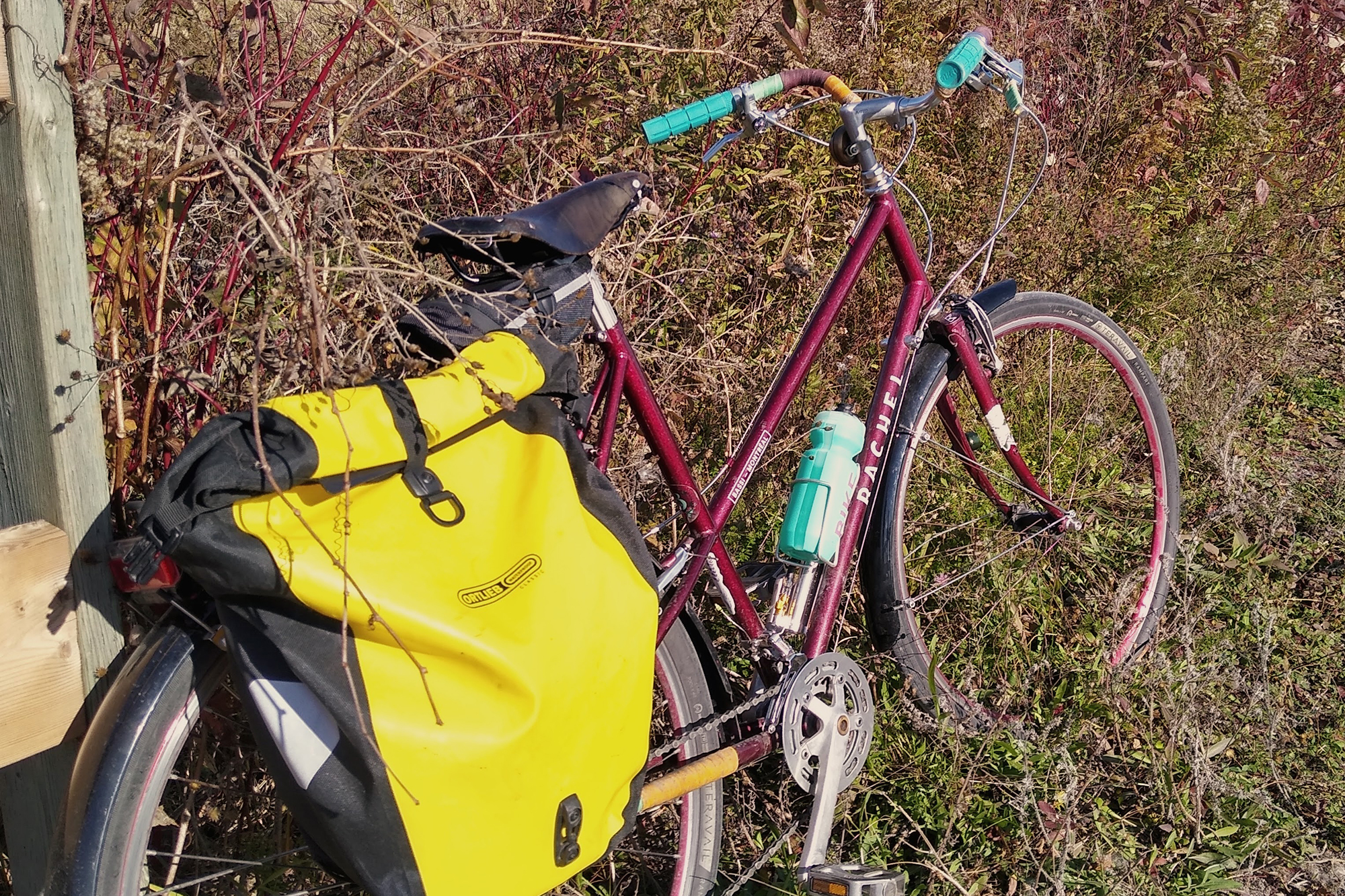 Readers’ Rides: Juniper’s Bassi Rachel Everything Bike | The Radavist ...