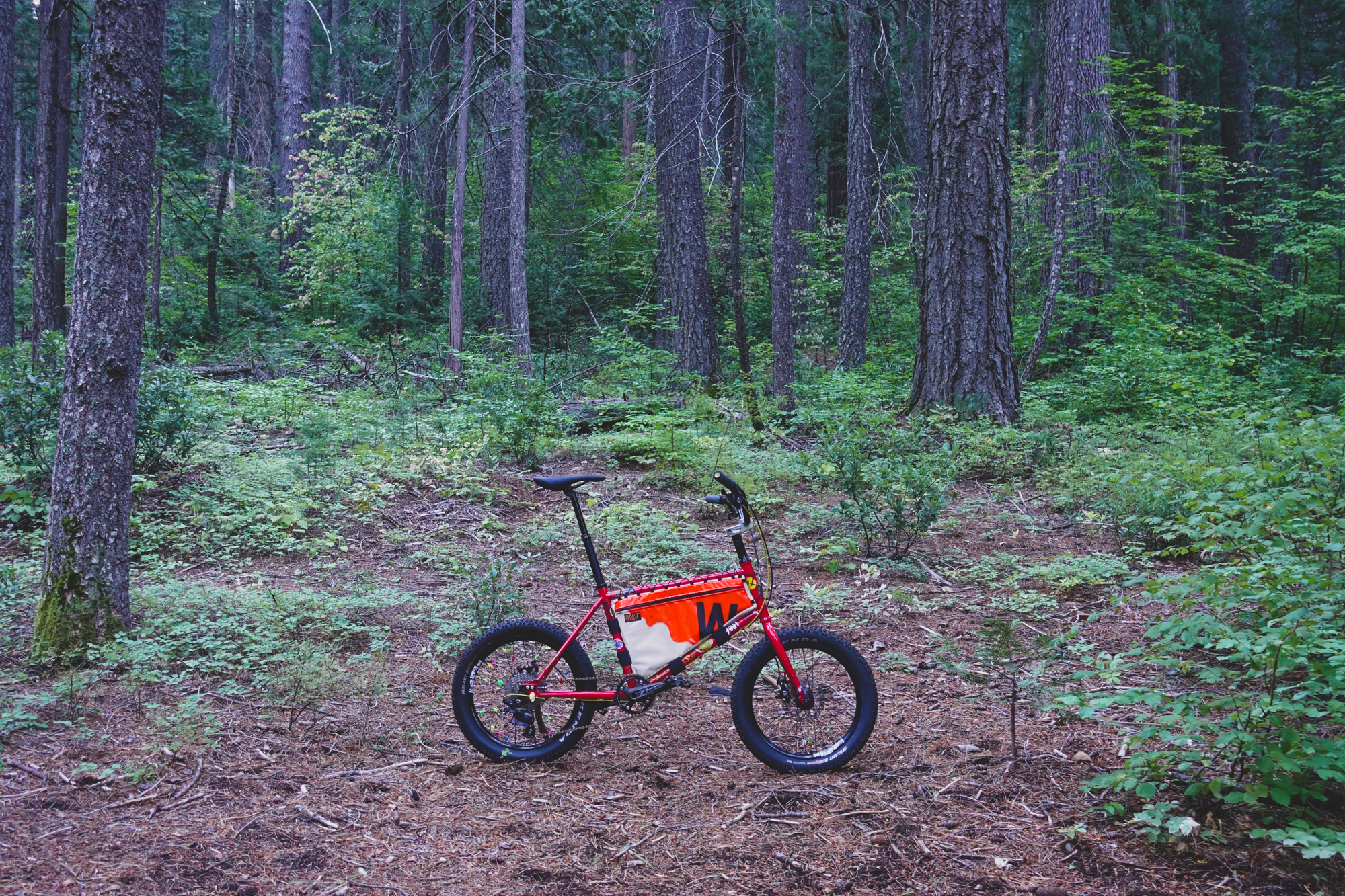 Kyoot Itty Bitty Review: Massive Fun on Mini Wheels – Nicholas Haig ...