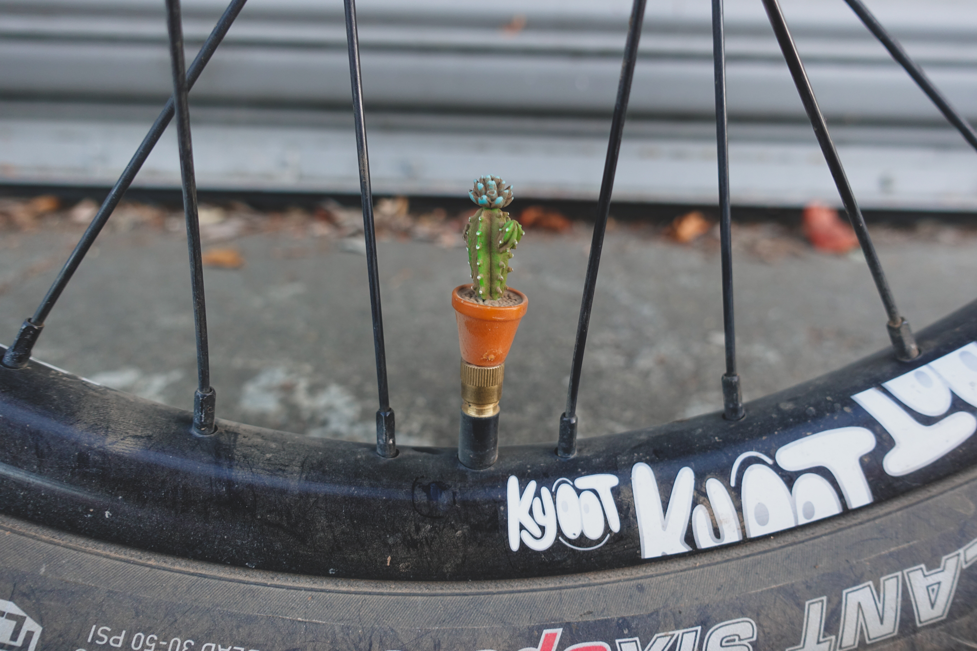 Kyoot Itty Bitty Review: Massive Fun on Mini Wheels – Nicholas Haig ...